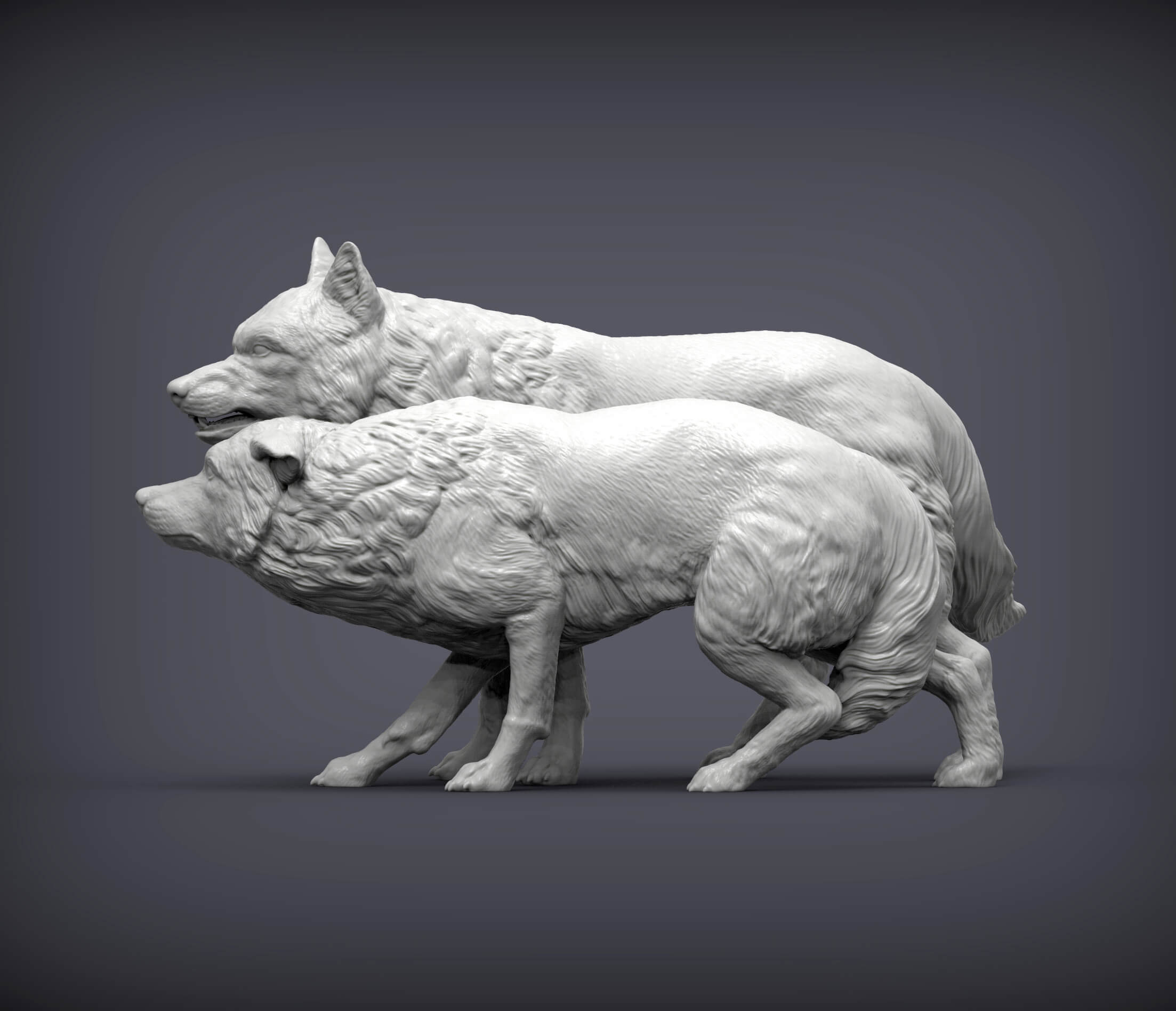Wolf and She-Wolf 3D Print Model by Alexander3dart