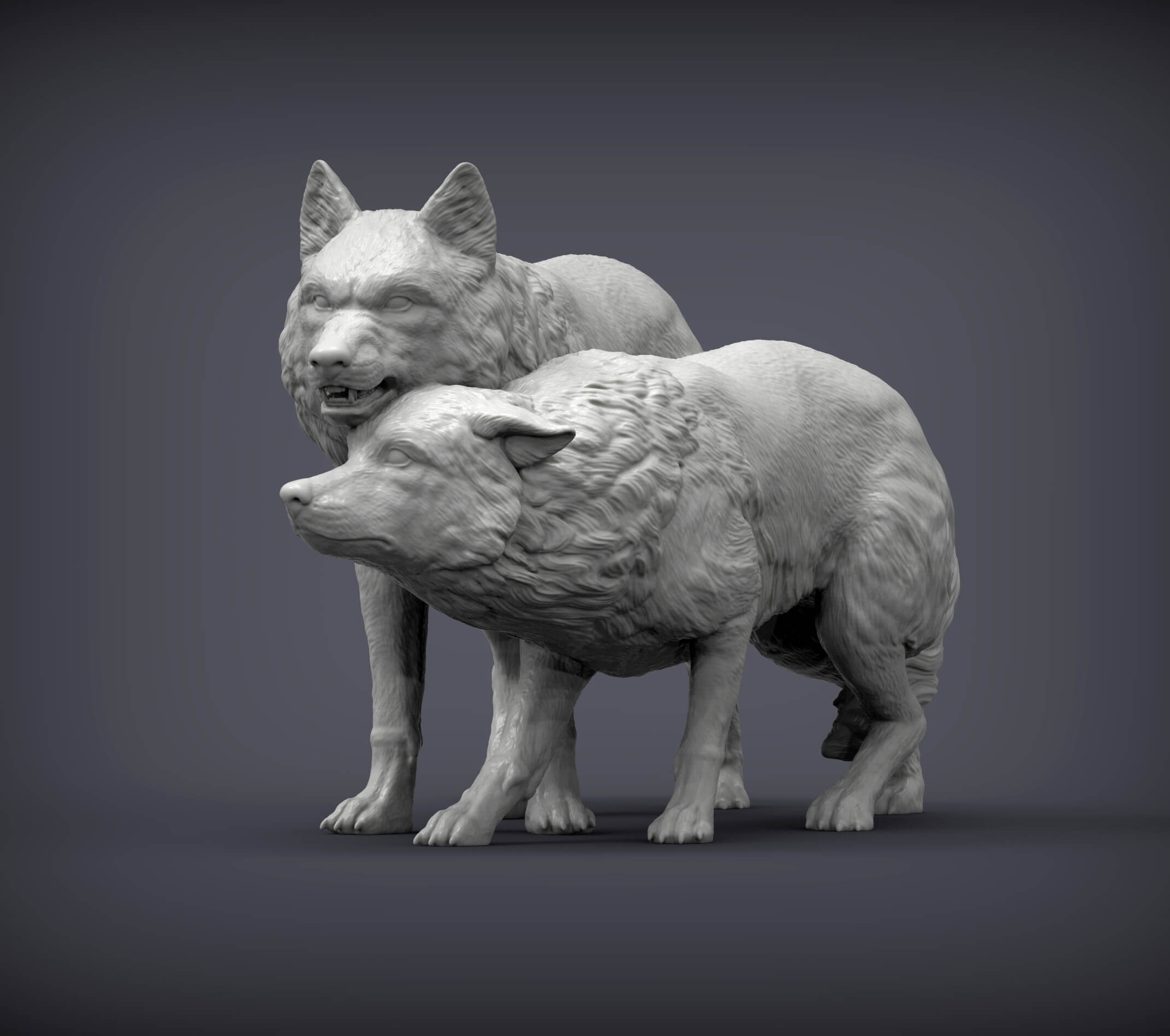 Wolf and She-Wolf 3D Print Model by Alexander3dart