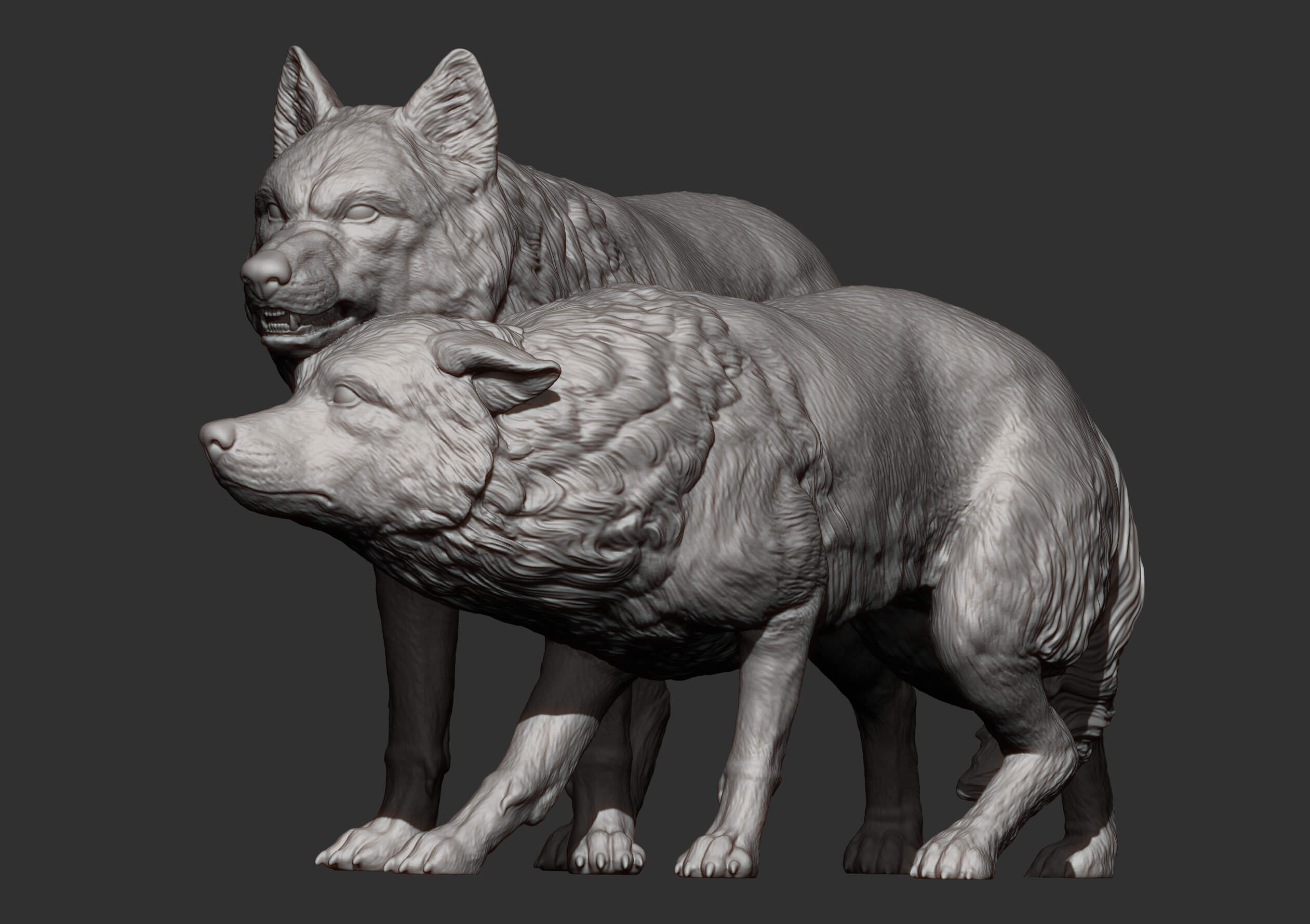 Wolf and She-Wolf 3D Print Model by Alexander3dart