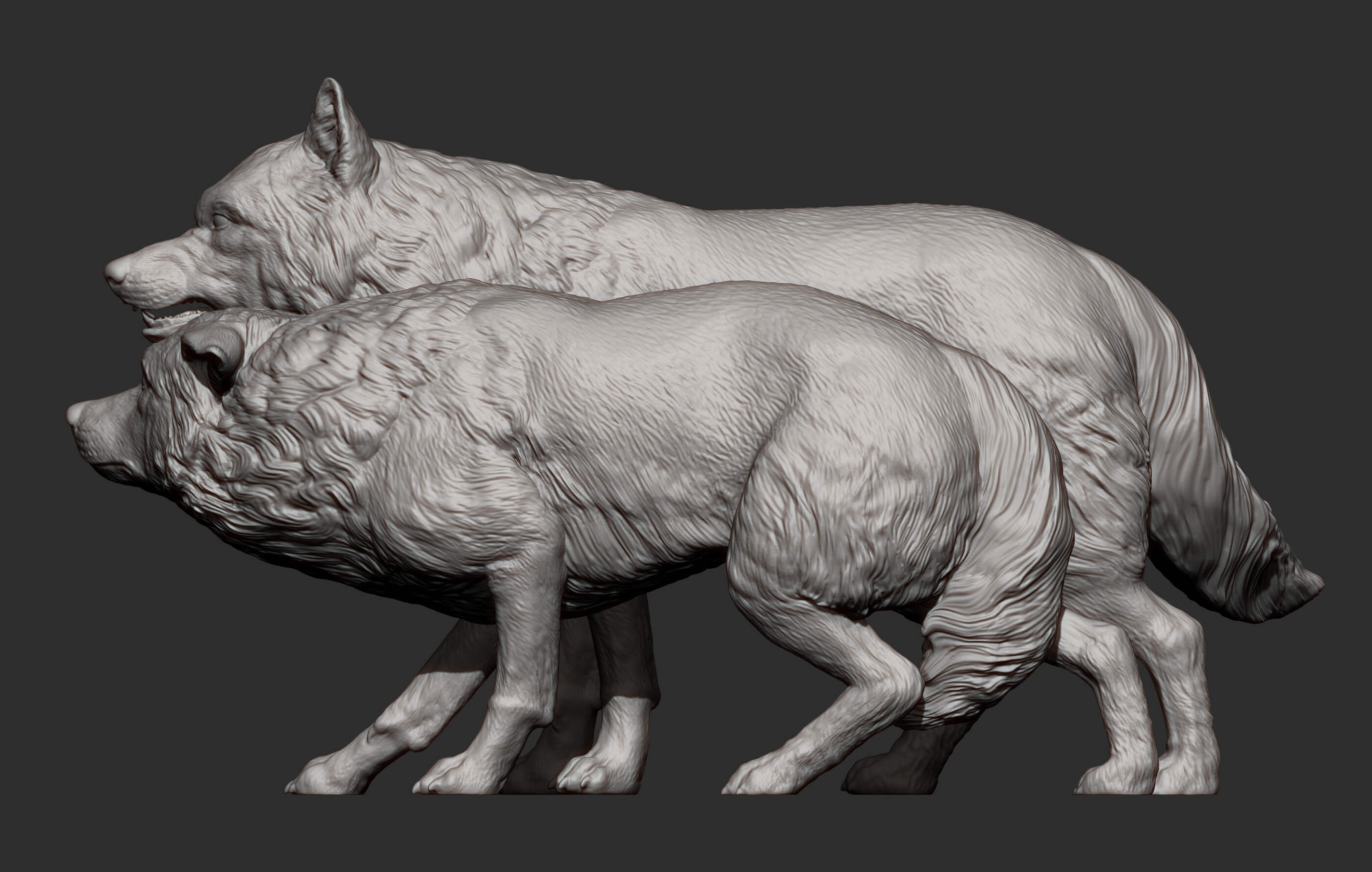 Wolf and She-Wolf 3D Print Model by Alexander3dart