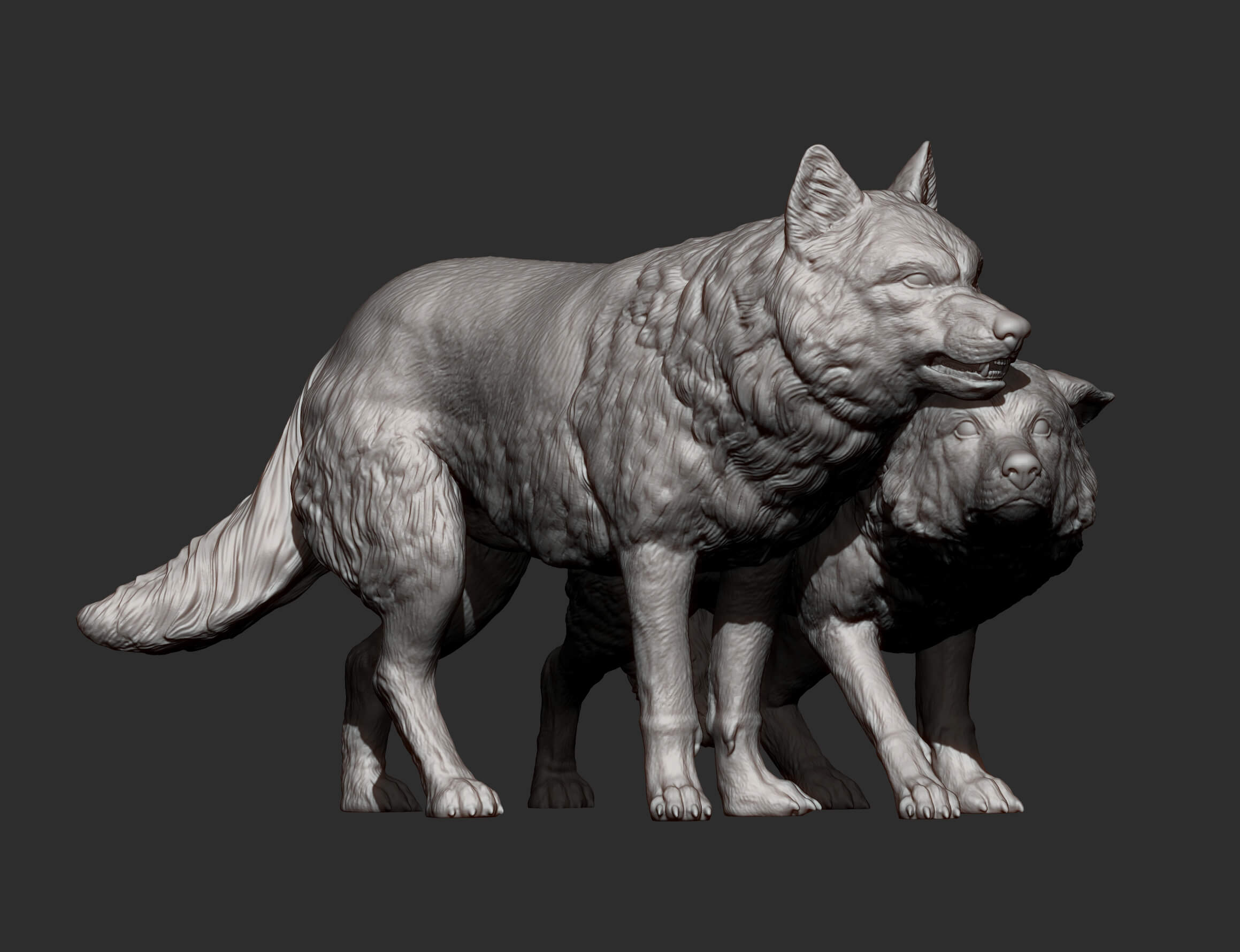Wolf and She-Wolf 3D Print Model by Alexander3dart