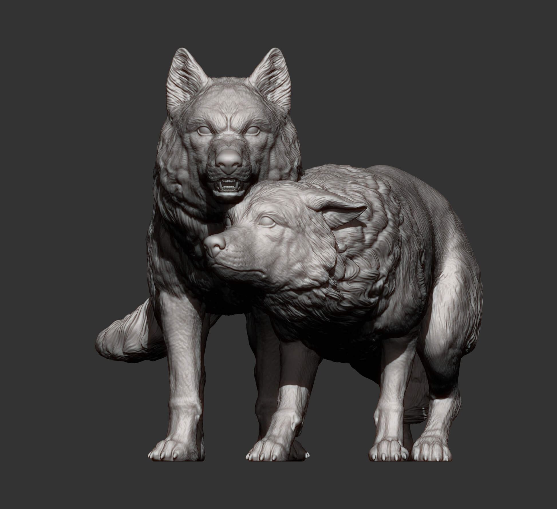 Wolf and She-Wolf 3D Print Model by Alexander3dart