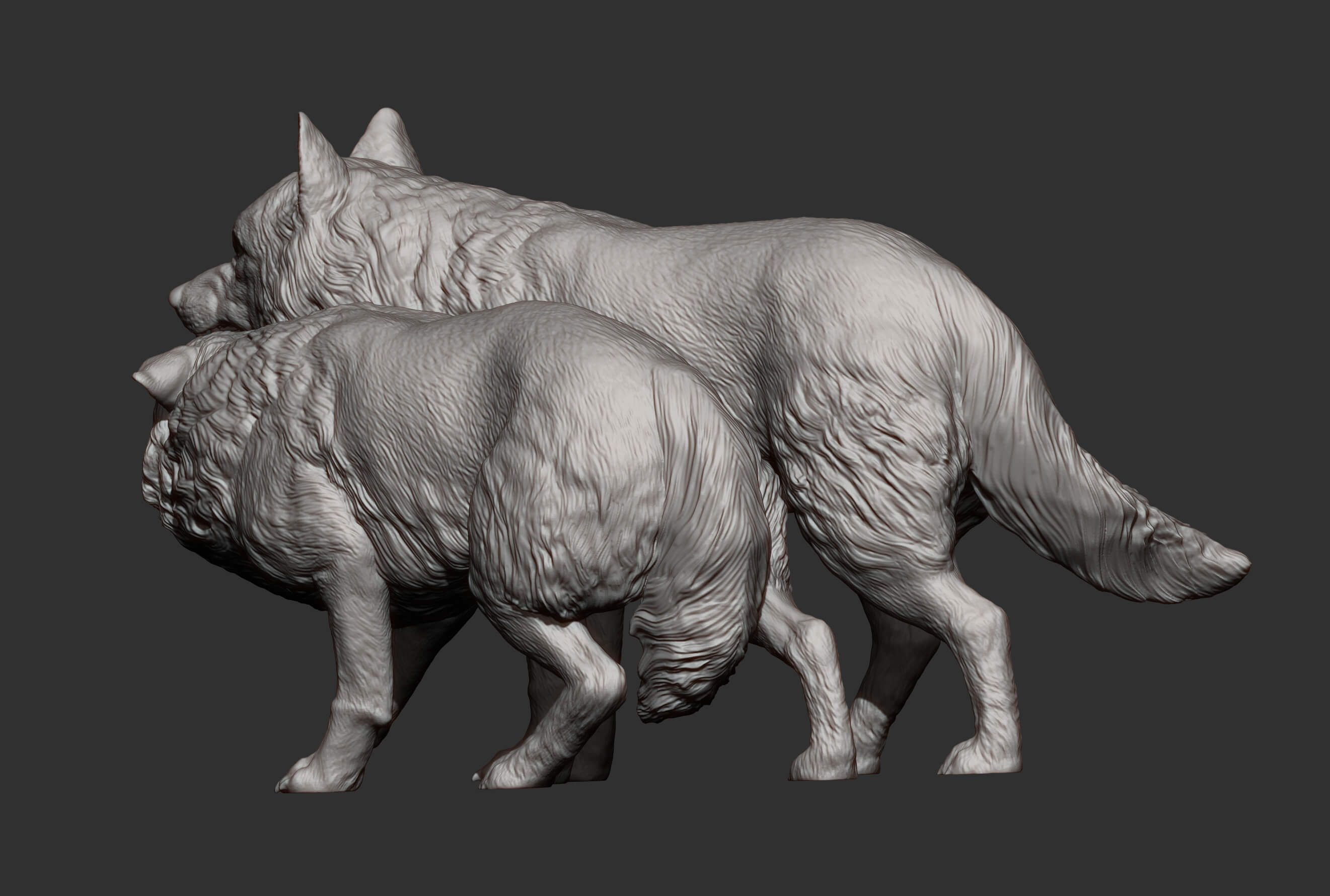 Wolf and She-Wolf 3D Print Model by Alexander3dart