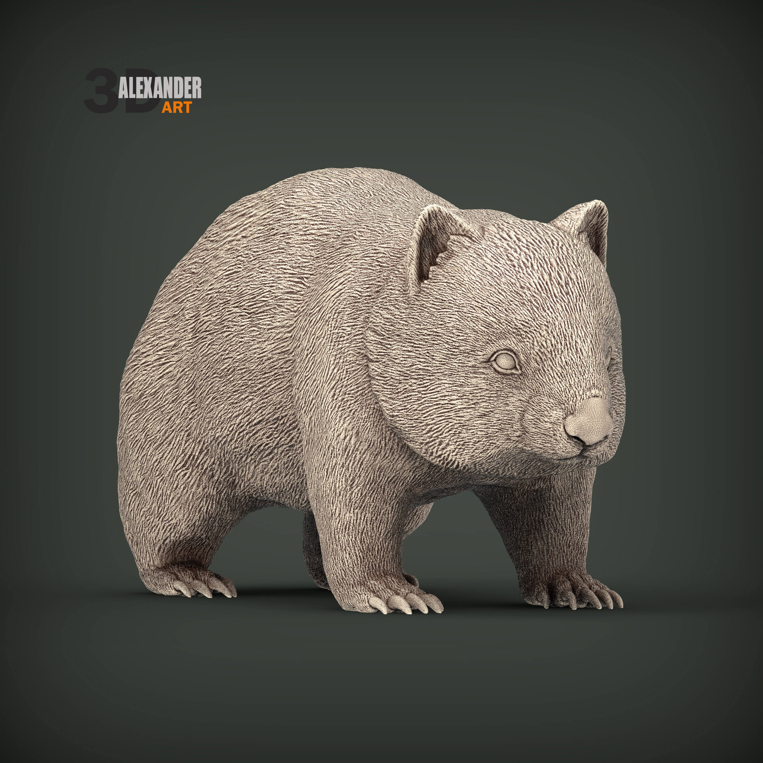 Wombat Sculpture - 3D Model by Alexander3dart