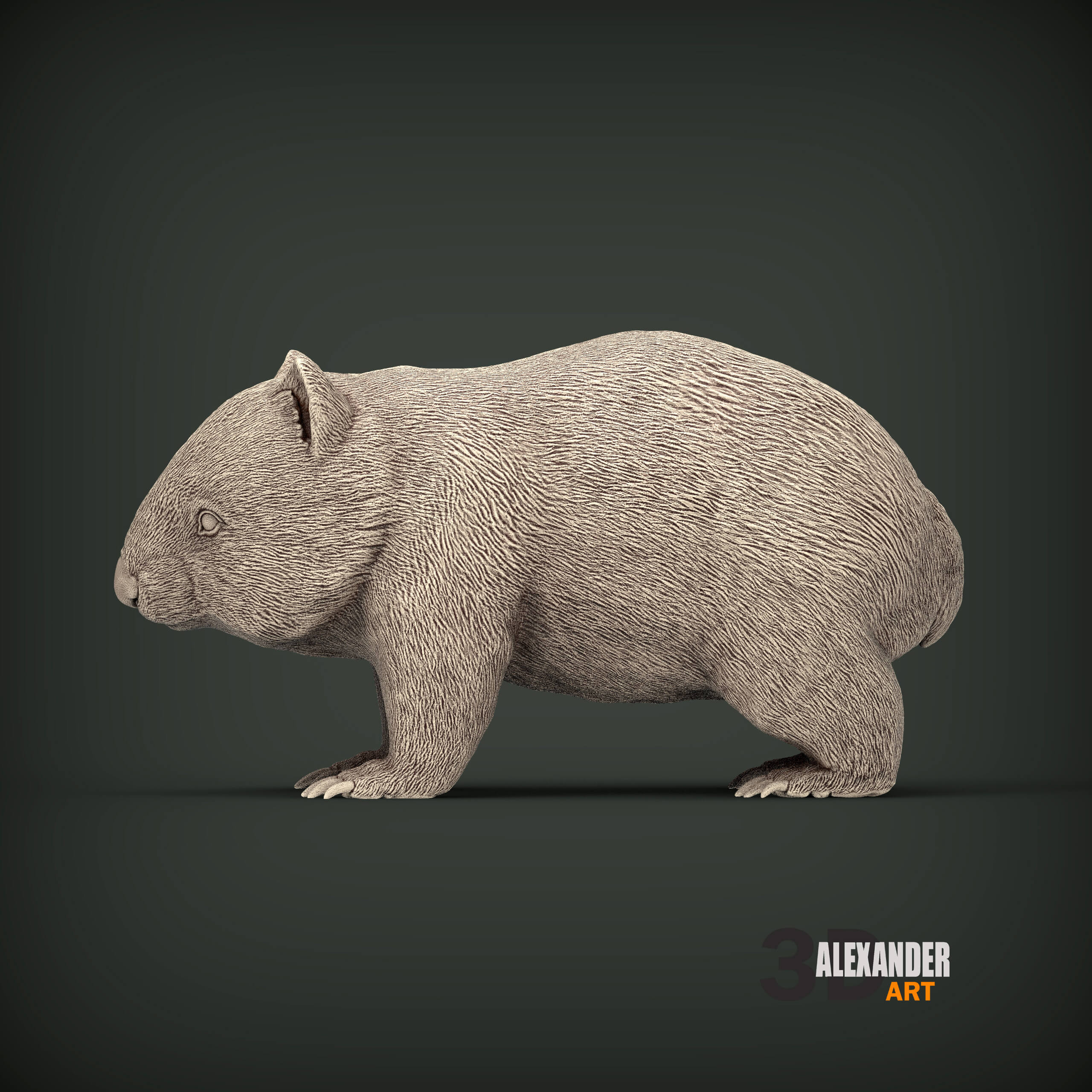 Wombat Sculpture - 3D Model by Alexander3dart