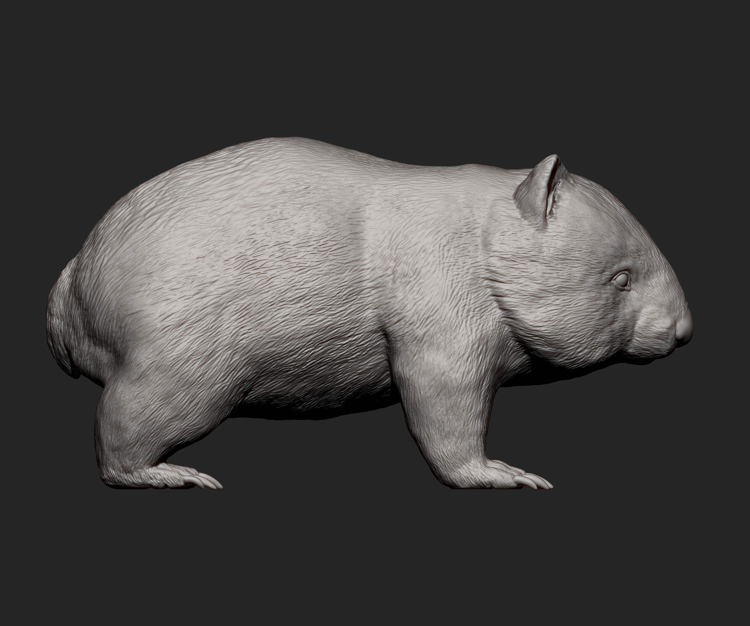 Wombat Sculpture - 3D Model by Alexander3dart