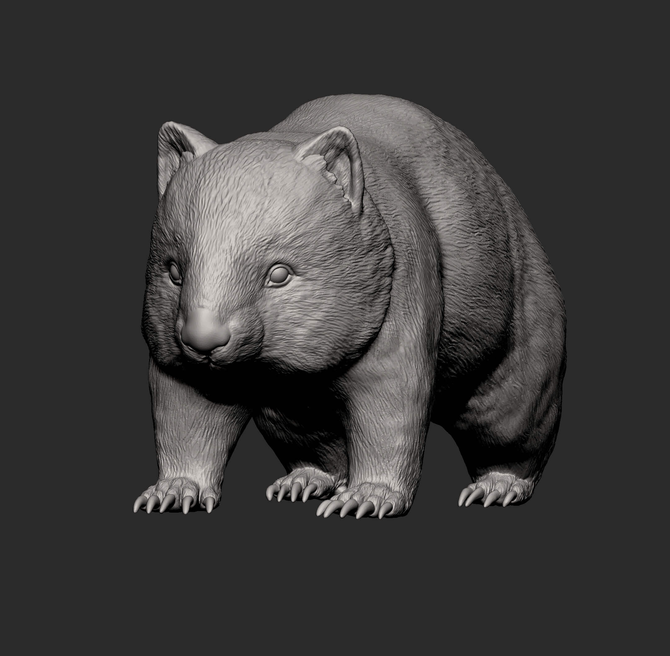 Wombat Sculpture - 3D Model by Alexander3dart