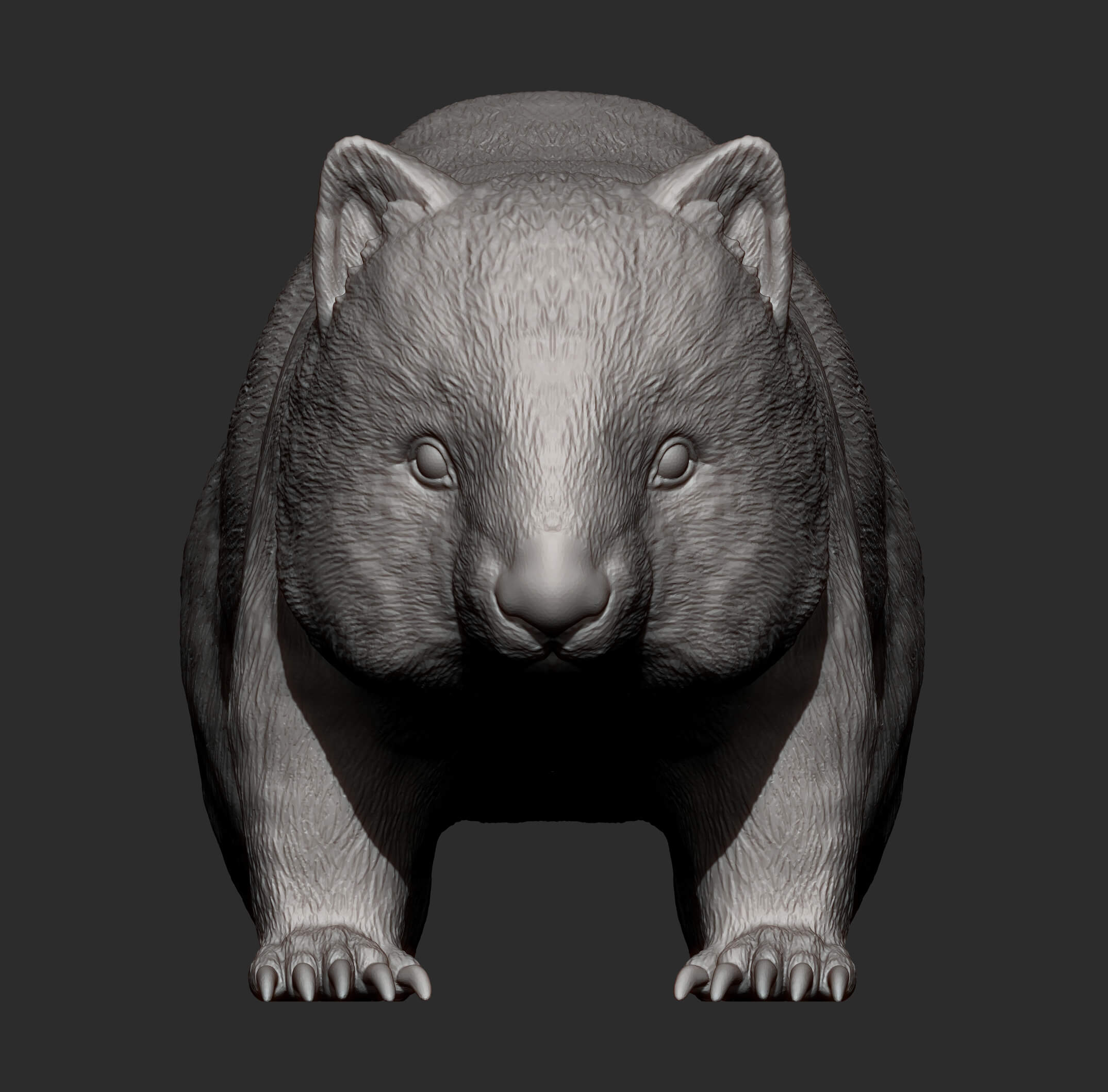 Wombat Sculpture - 3D Model by Alexander3dart
