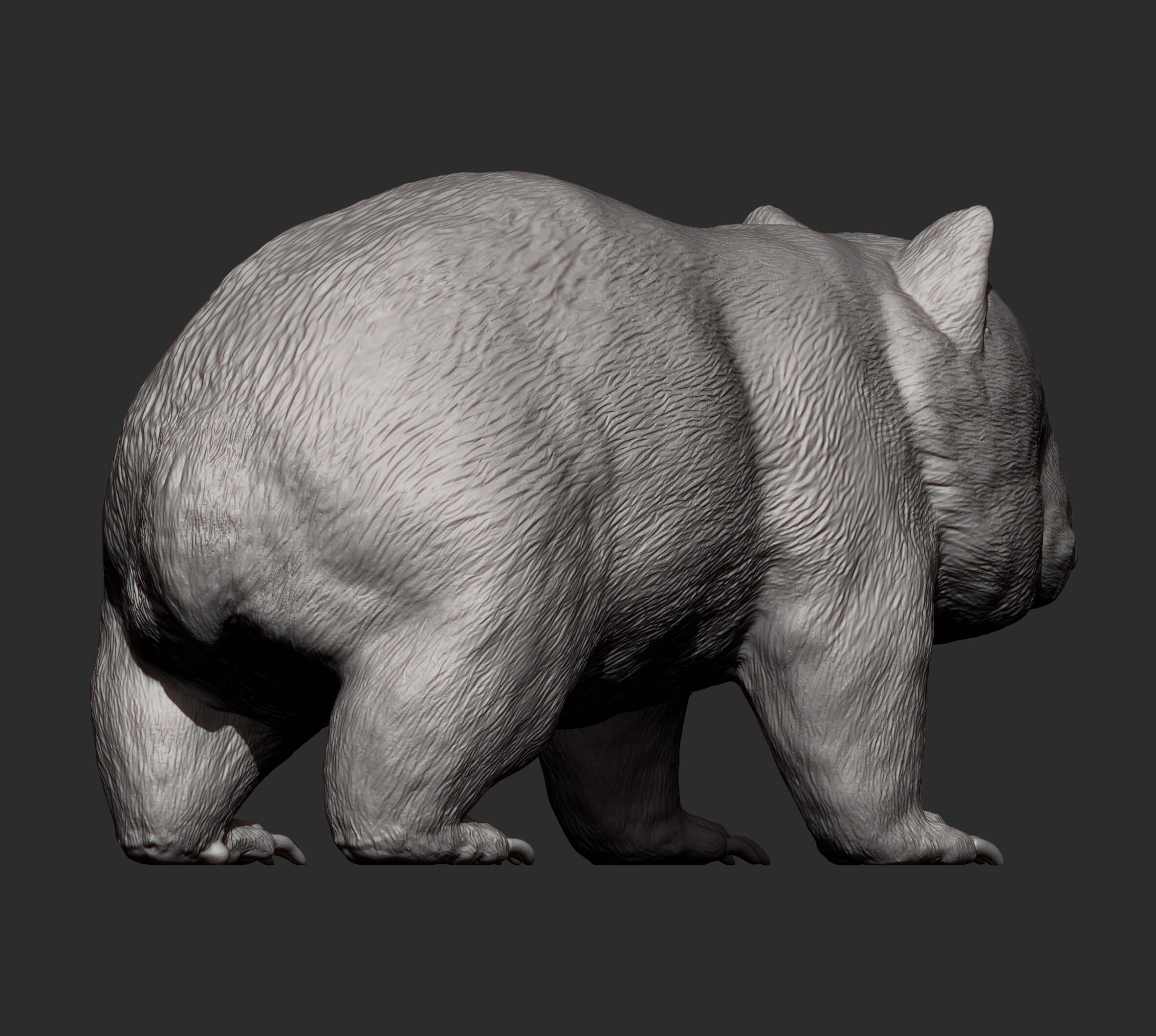 Wombat Sculpture - 3D Model by Alexander3dart