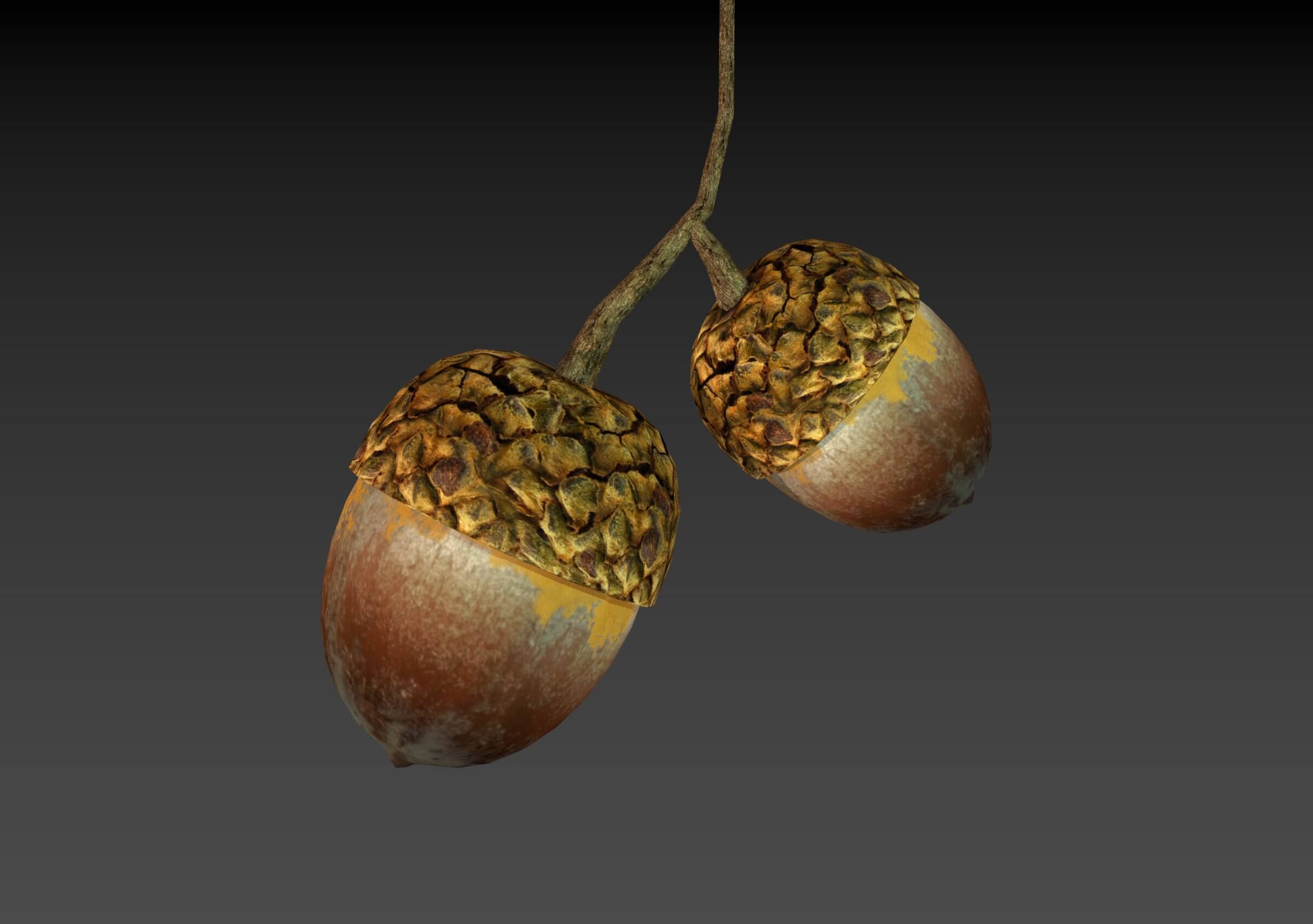 Acorns - 3D Model by alexkovalev