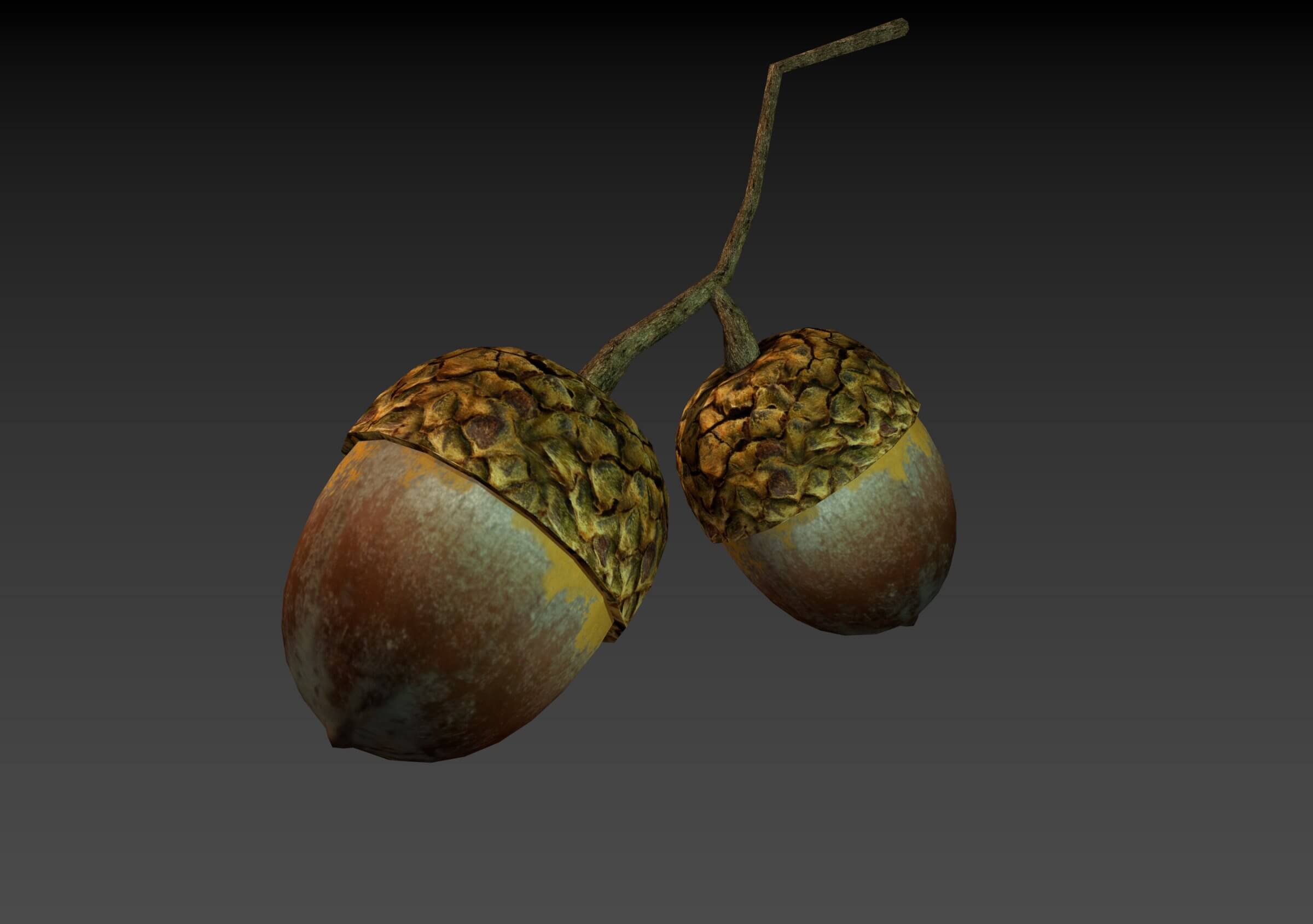 Acorns - 3D Model by alexkovalev