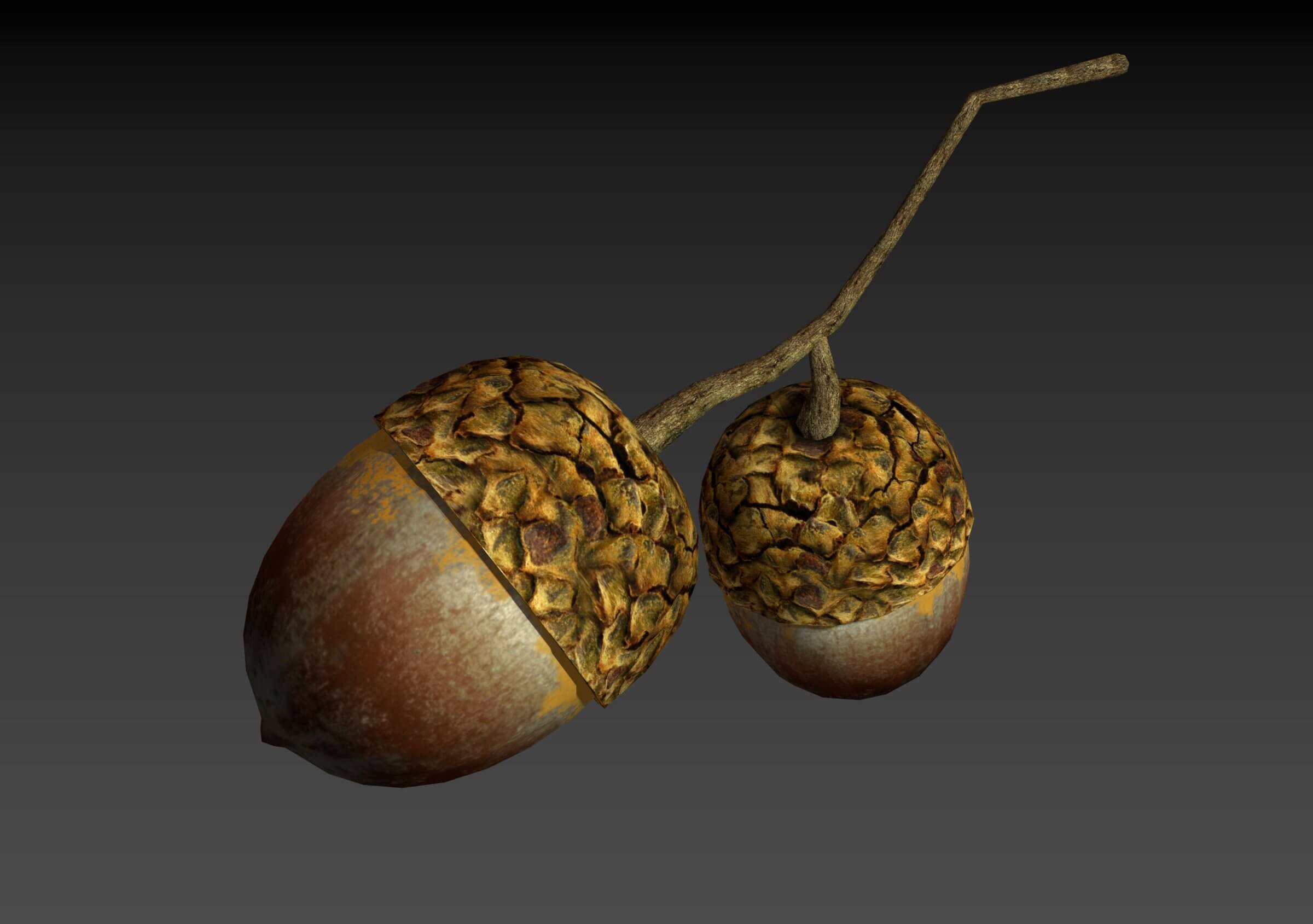 Acorns - 3D Model by alexkovalev