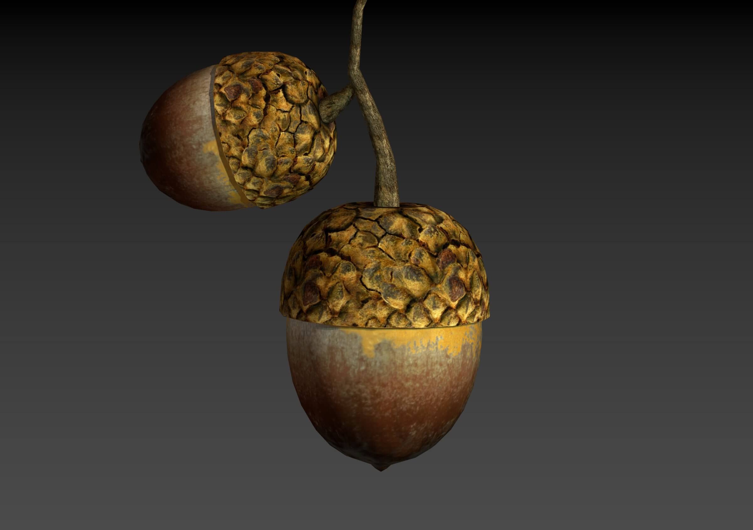 Acorns - 3D Model by alexkovalev
