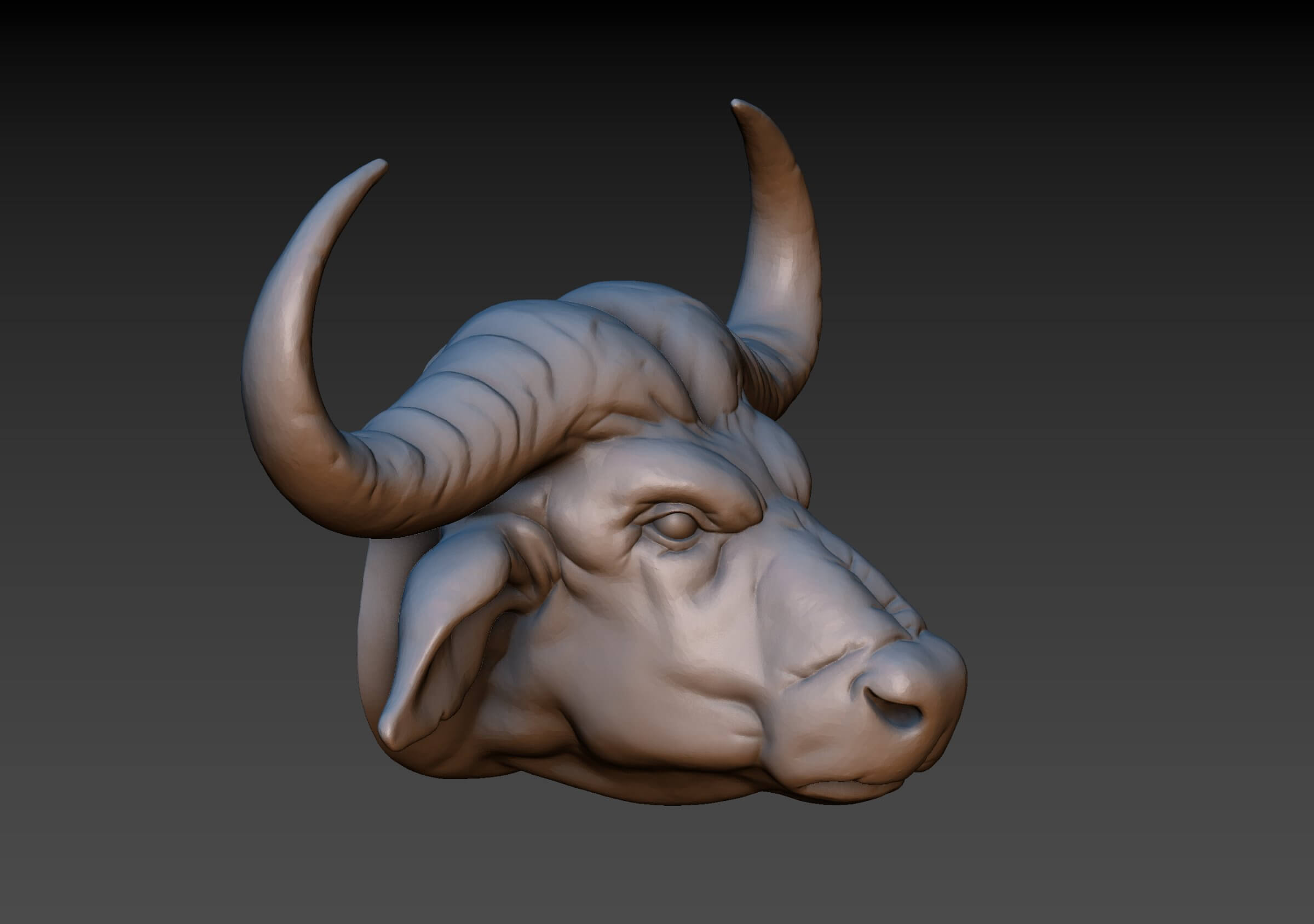 African Buffalo Head - 3D Model by alexkovalev