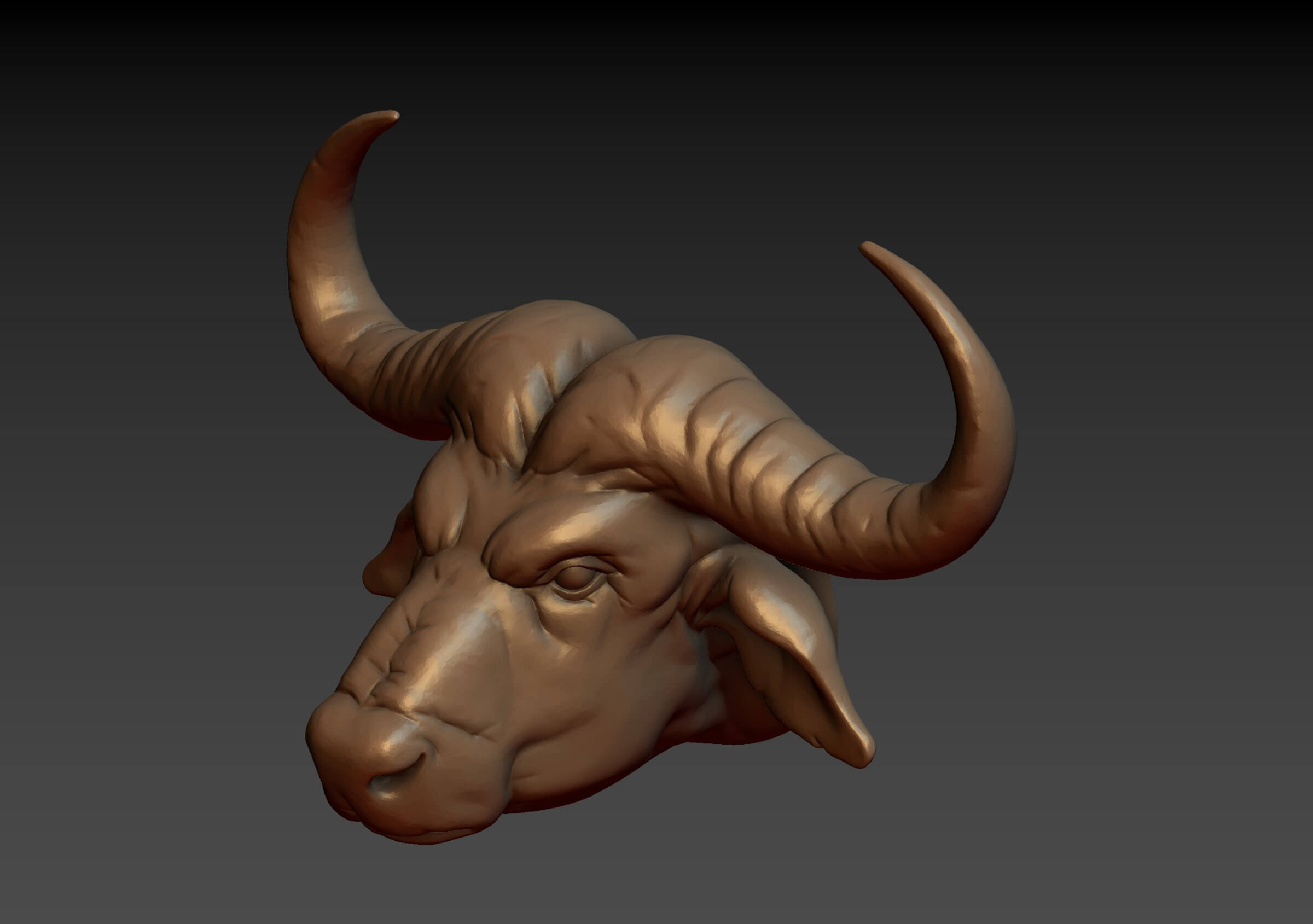African Buffalo Head - 3D Model by alexkovalev