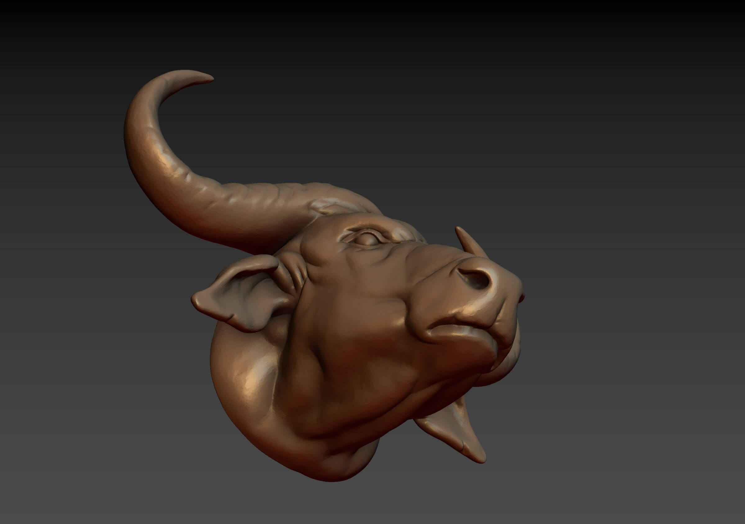 African Buffalo Head - 3D Model by alexkovalev