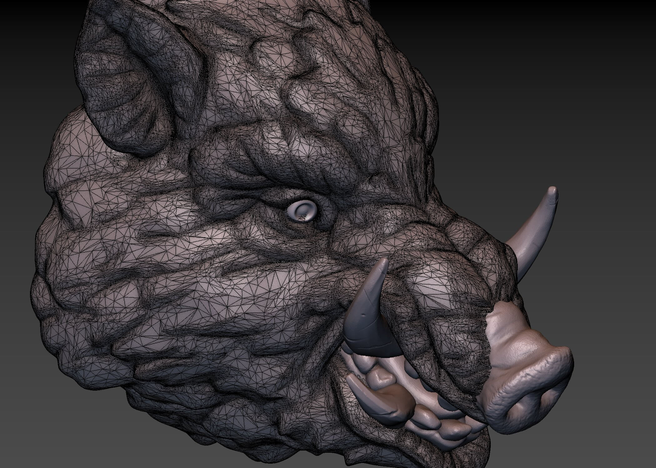 Boar Head - 3D Model by alexkovalev