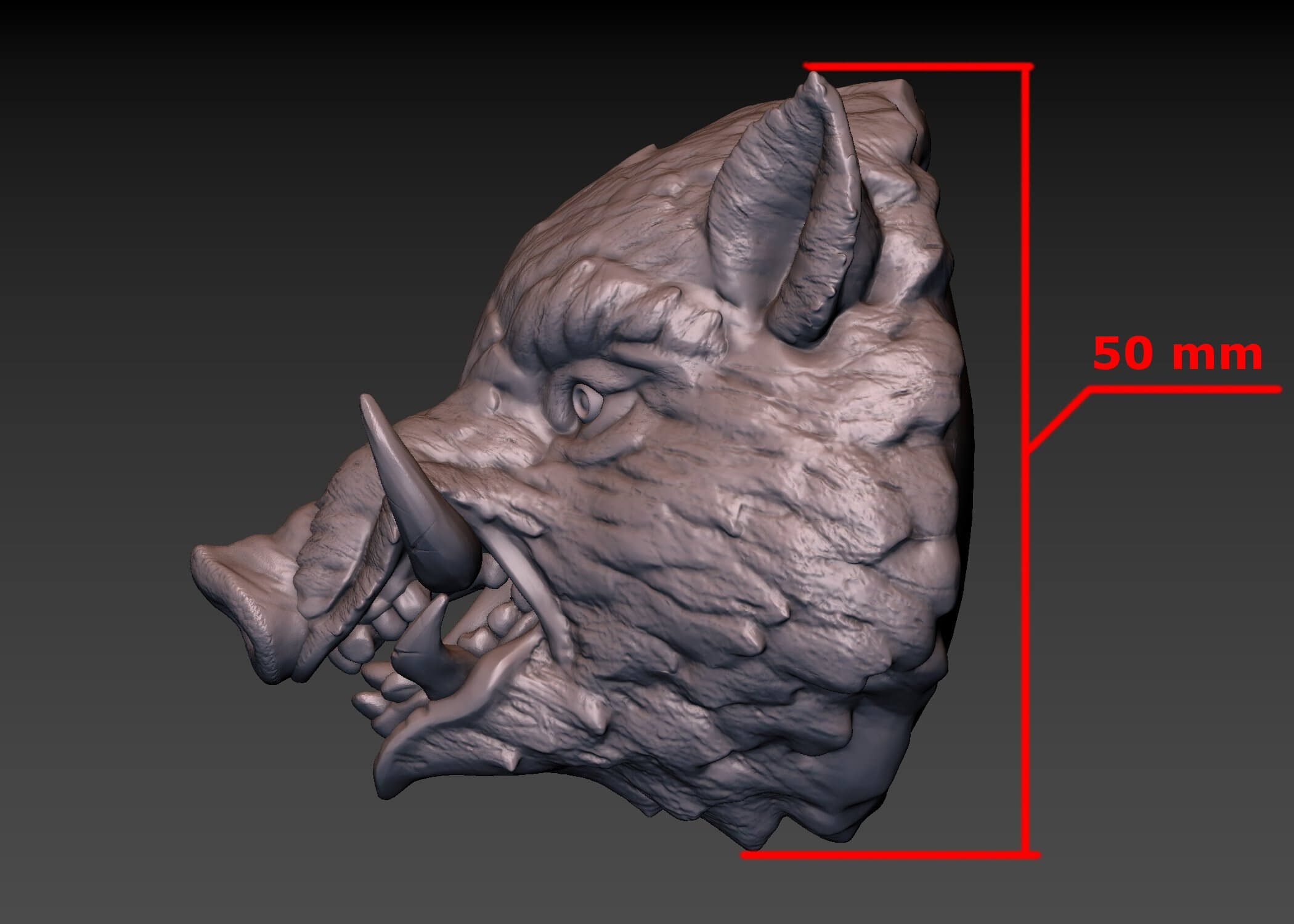 Boar Head - 3D Model by alexkovalev