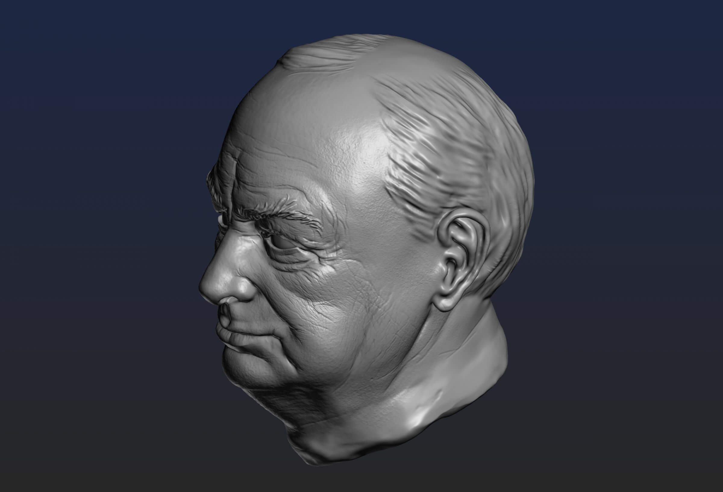 Churchill Head - 3D Model by alexkovalev
