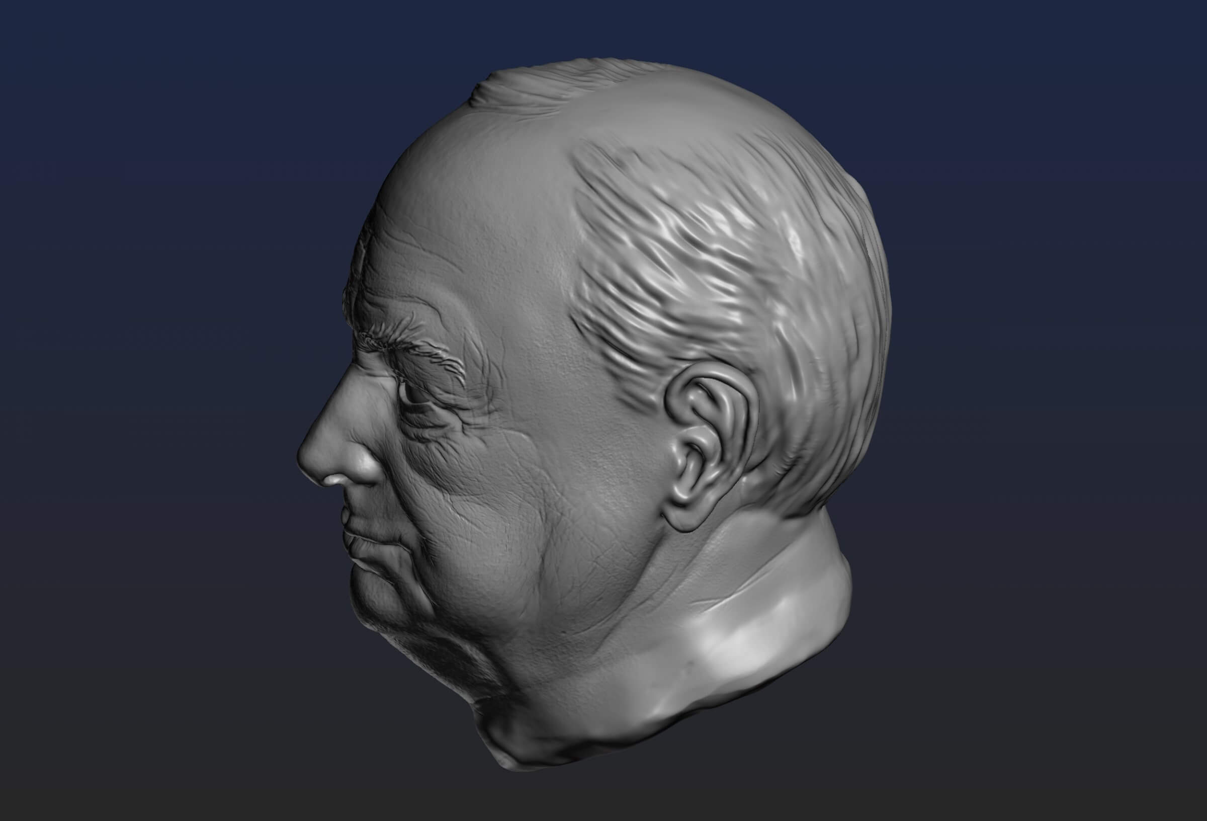 Churchill Head - 3D Model by alexkovalev
