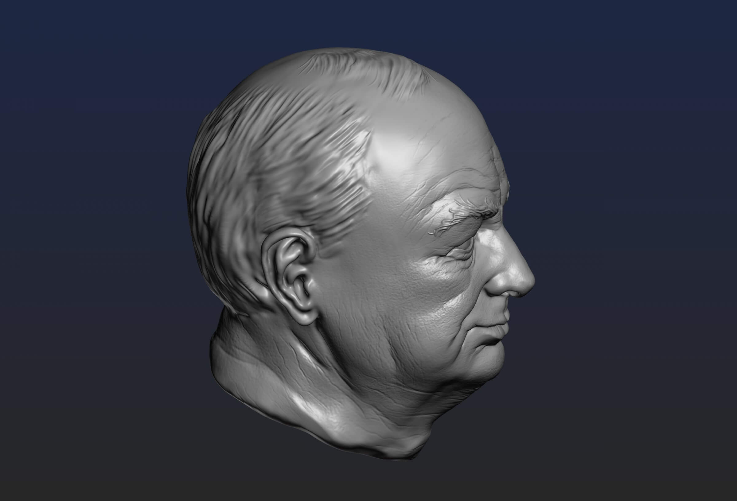 Churchill Head - 3D Model by alexkovalev