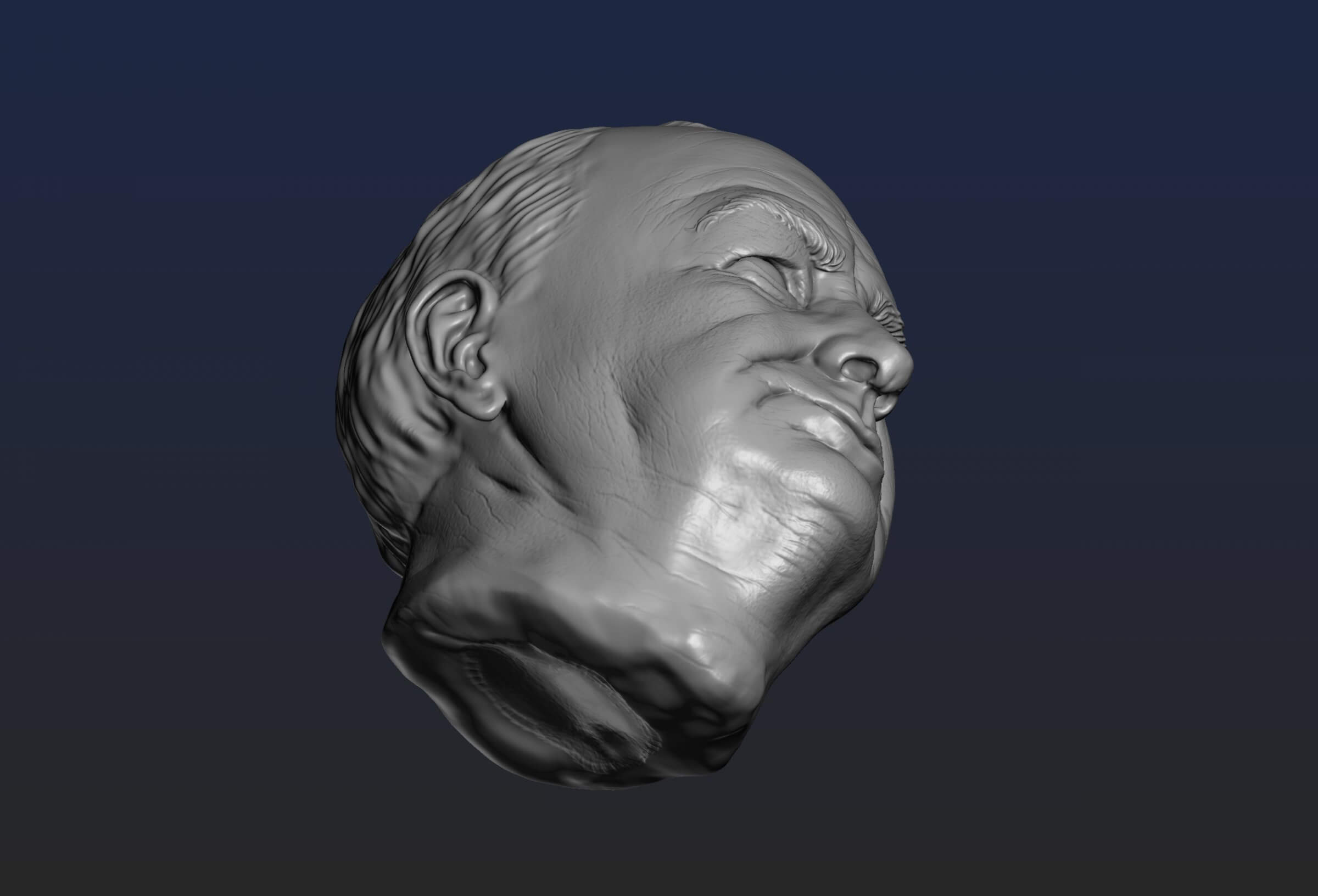 Churchill Head - 3D Model by alexkovalev