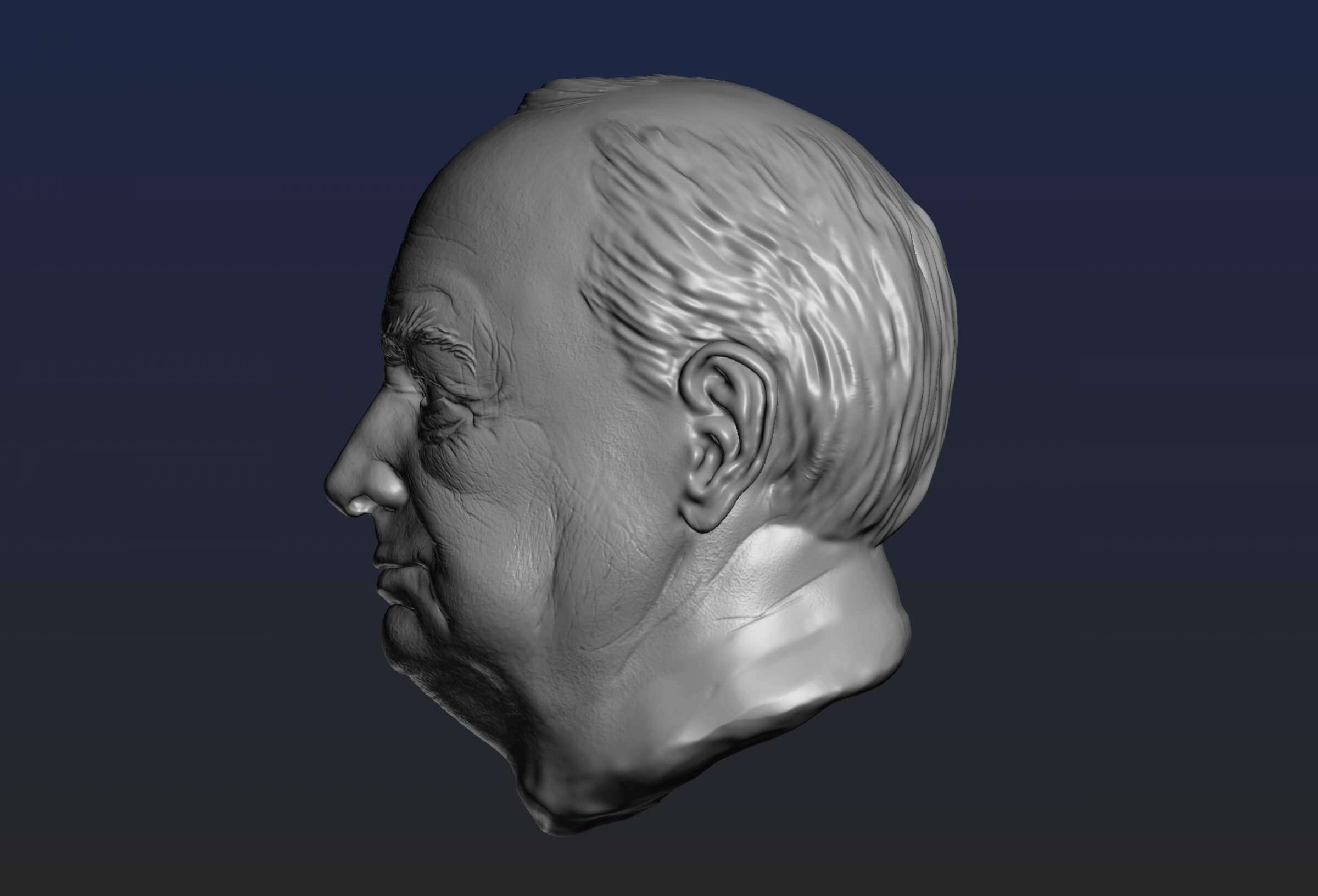 Churchill Head - 3D Model by alexkovalev
