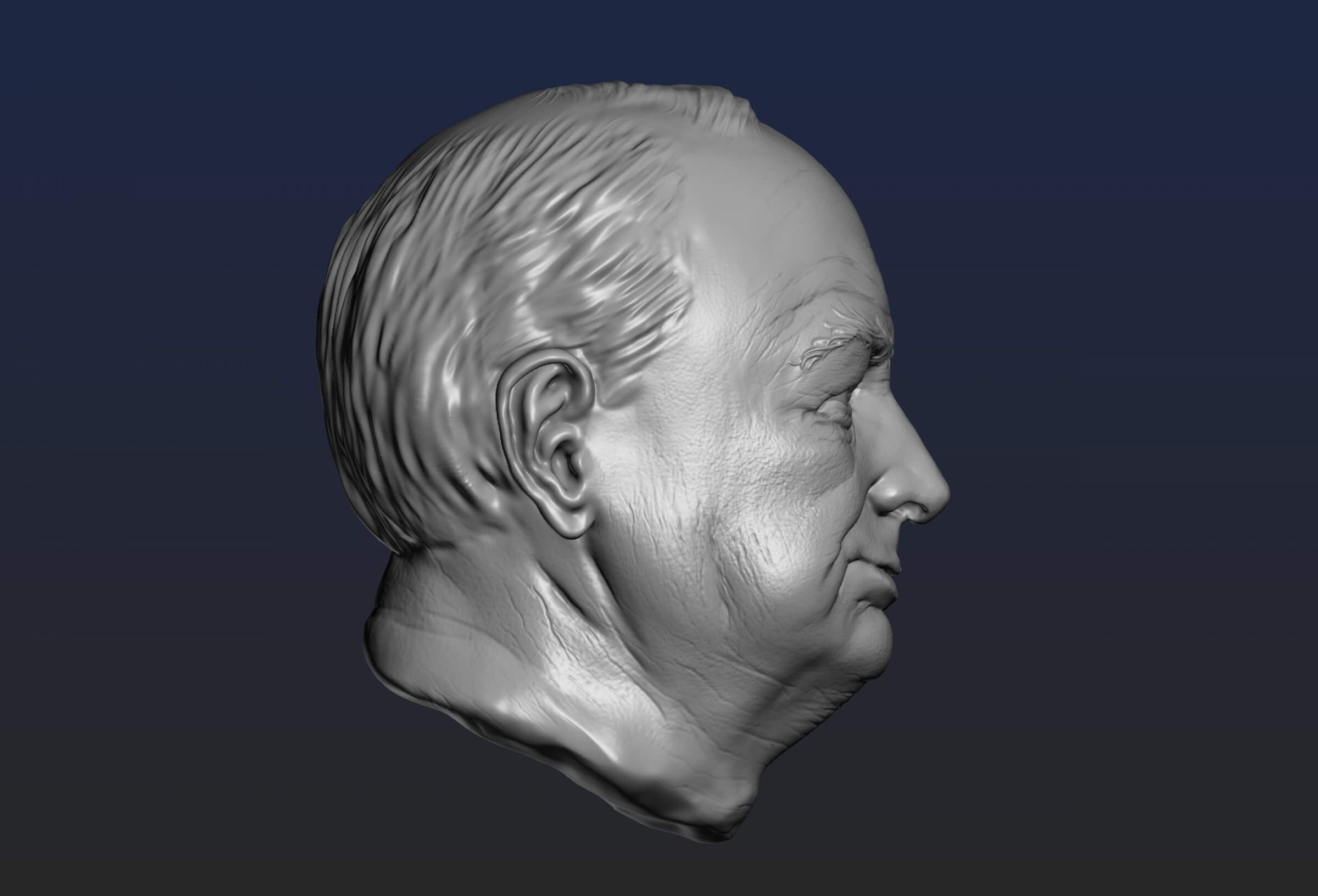 Churchill Head - 3D Model by alexkovalev
