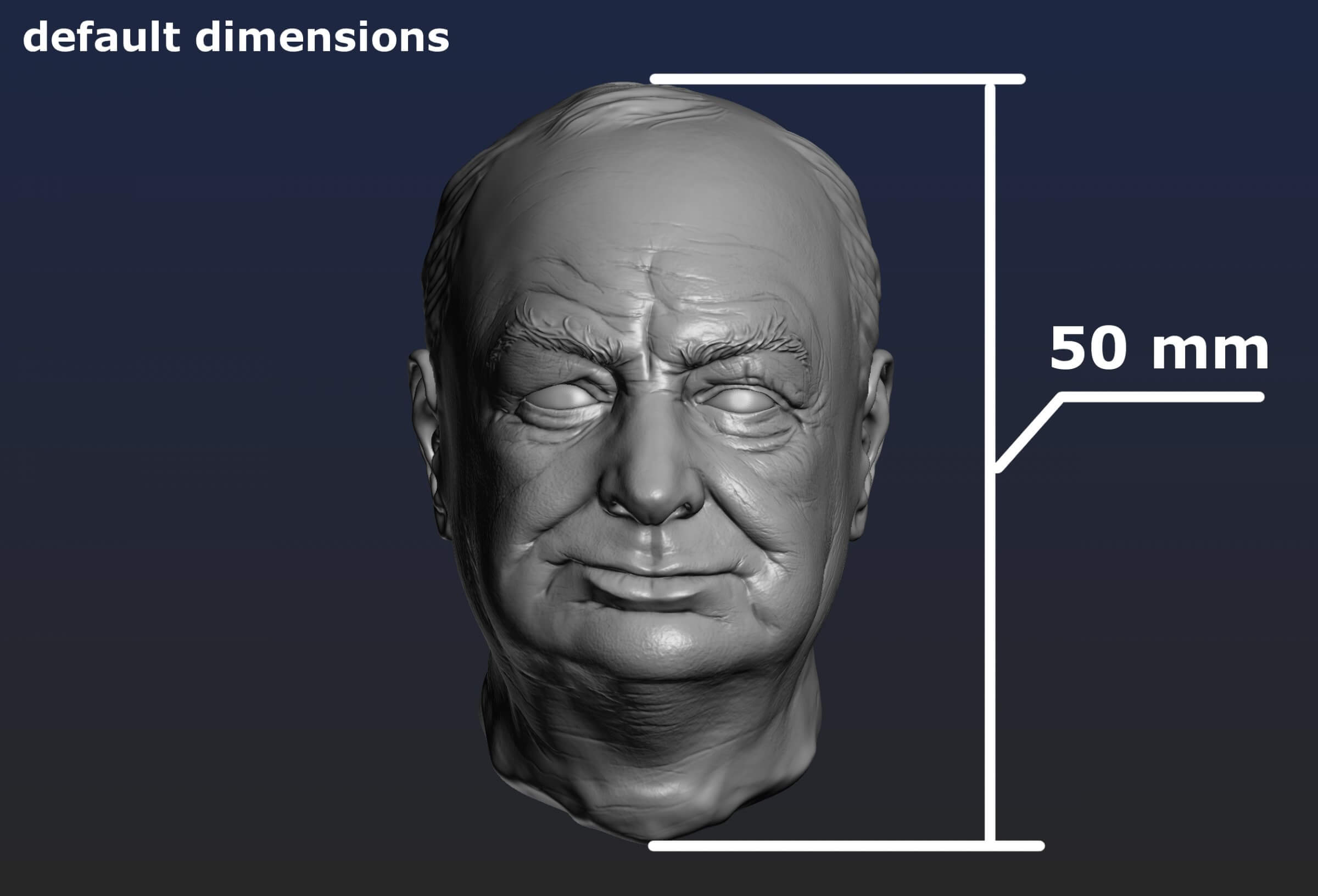 Churchill Head - 3D Model by alexkovalev