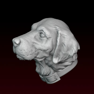 Dog Head 3D Print by alexkovalev