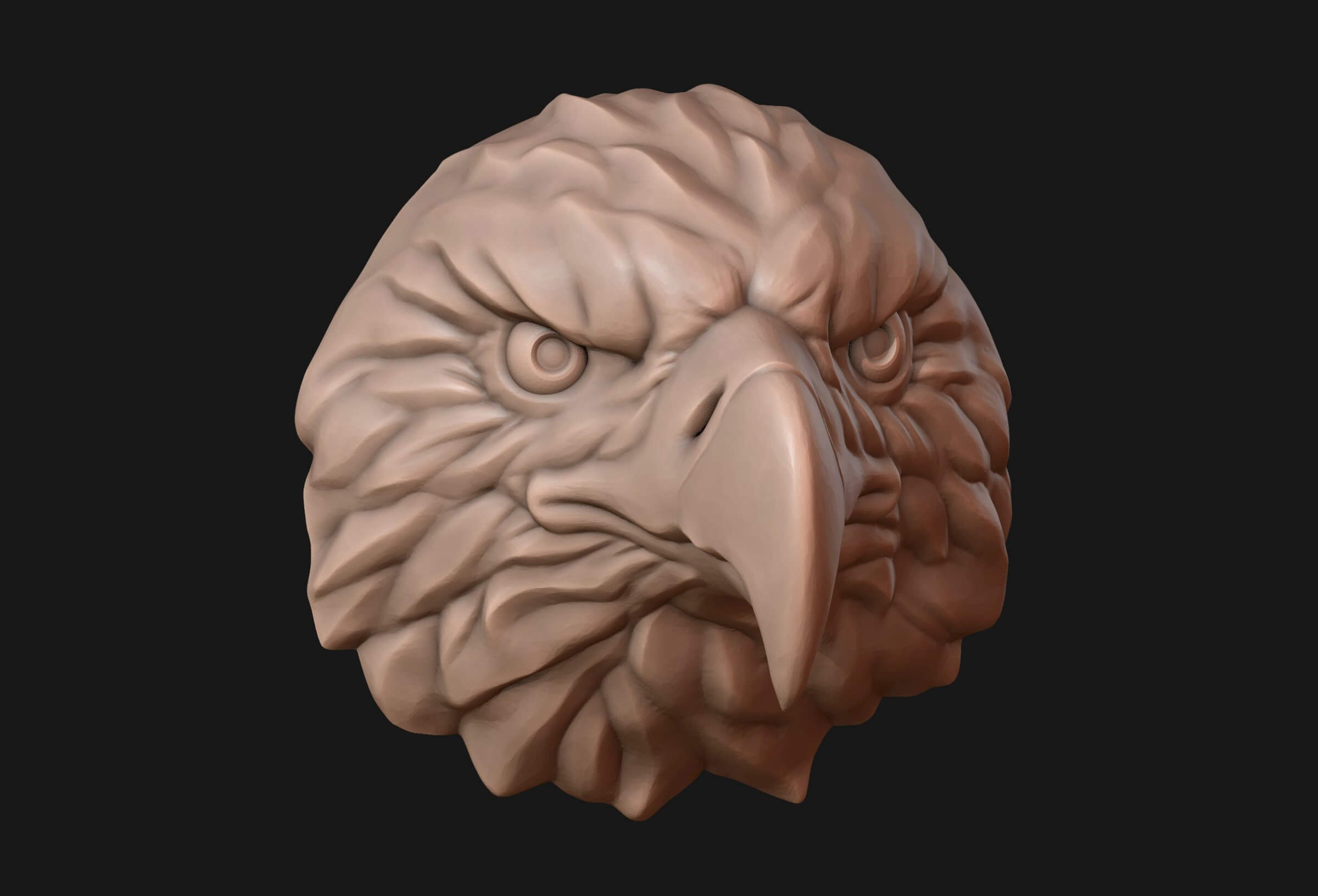 Eagle Head - 3D Model by alexkovalev