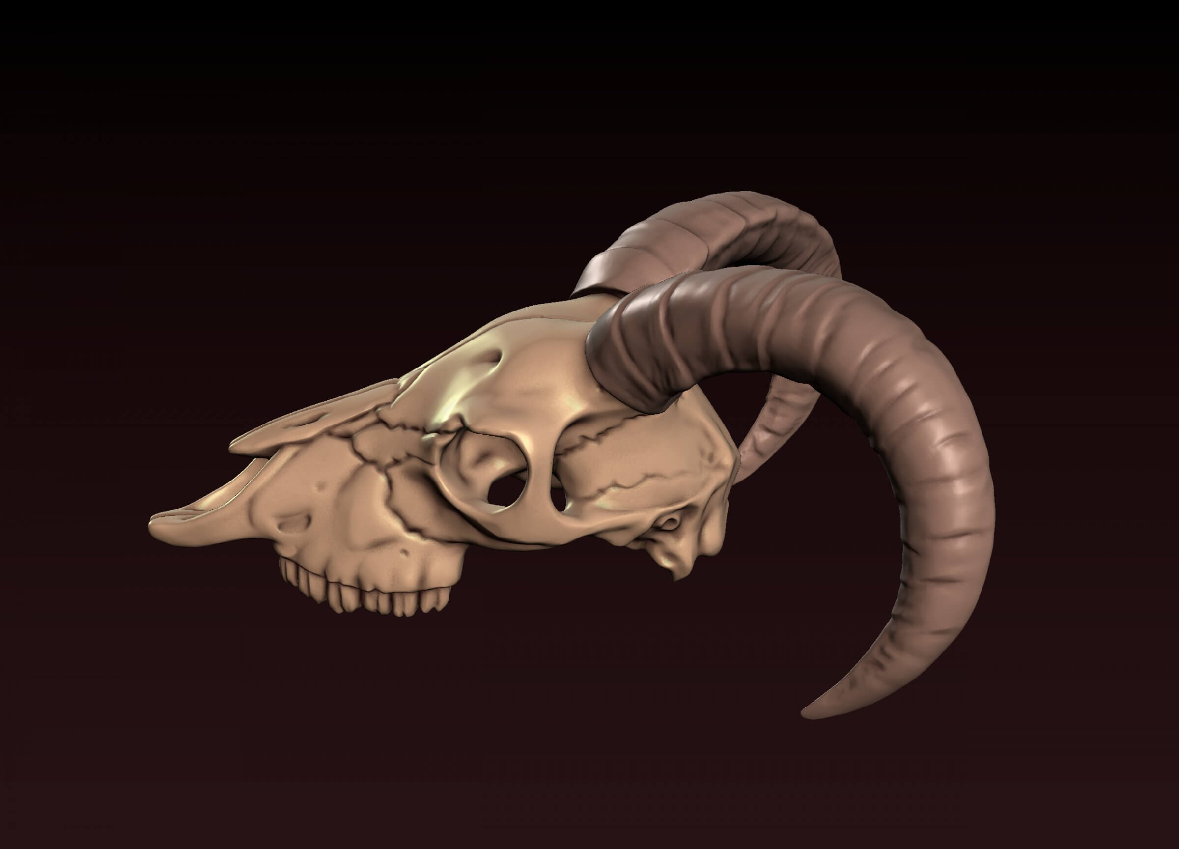 Goat Skull - 3D Model by alexkovalev