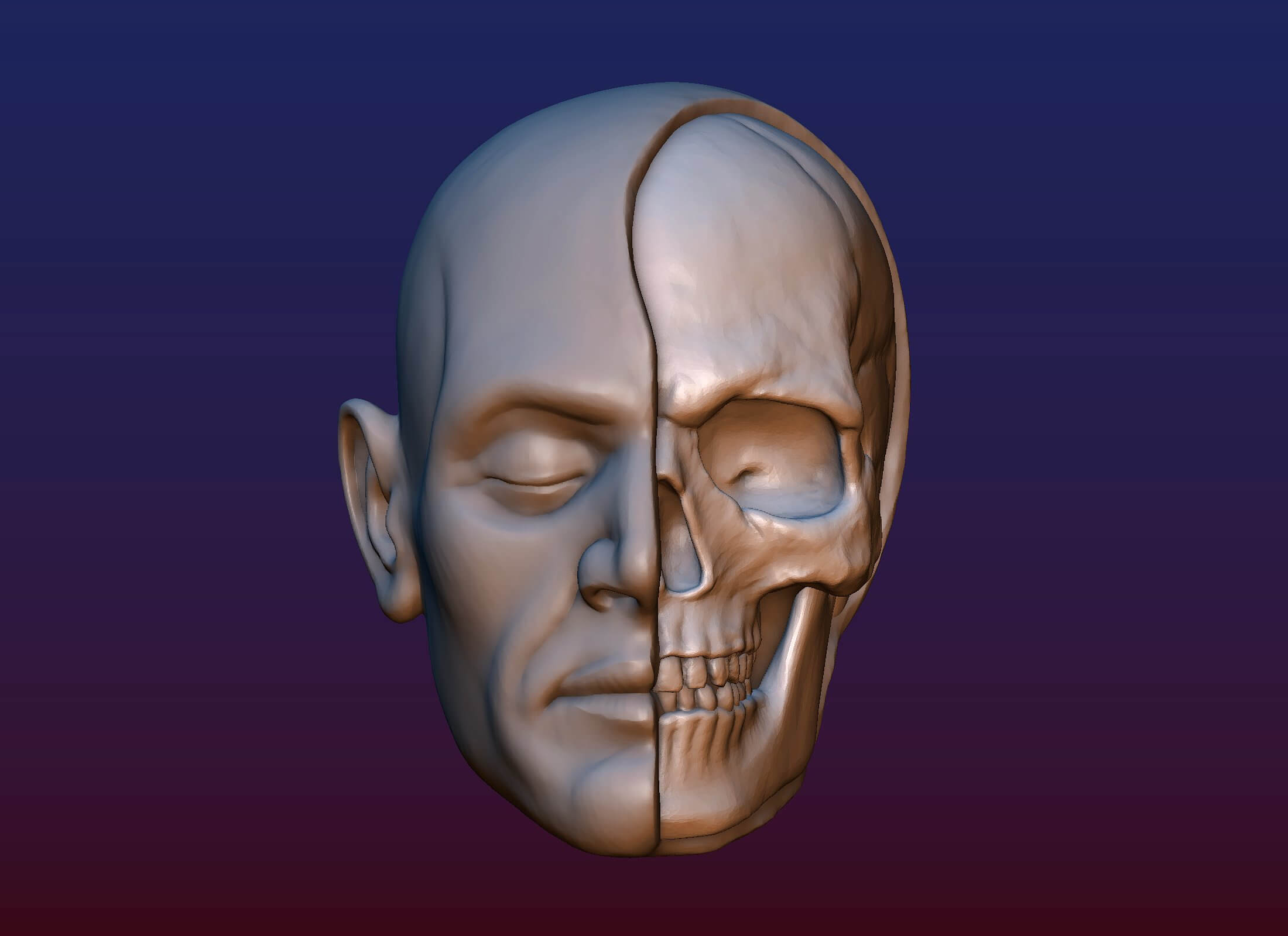 Half Face Two Face - Print Ready 3D Model by alexkovalev