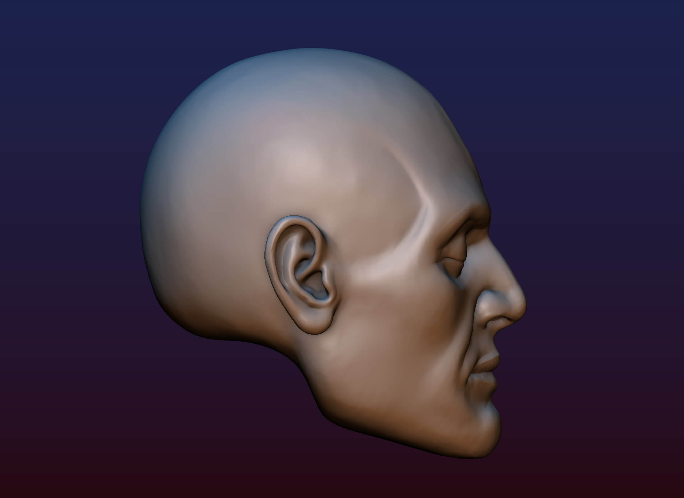 Half Face Two Face - 3D Model by alexkovalev