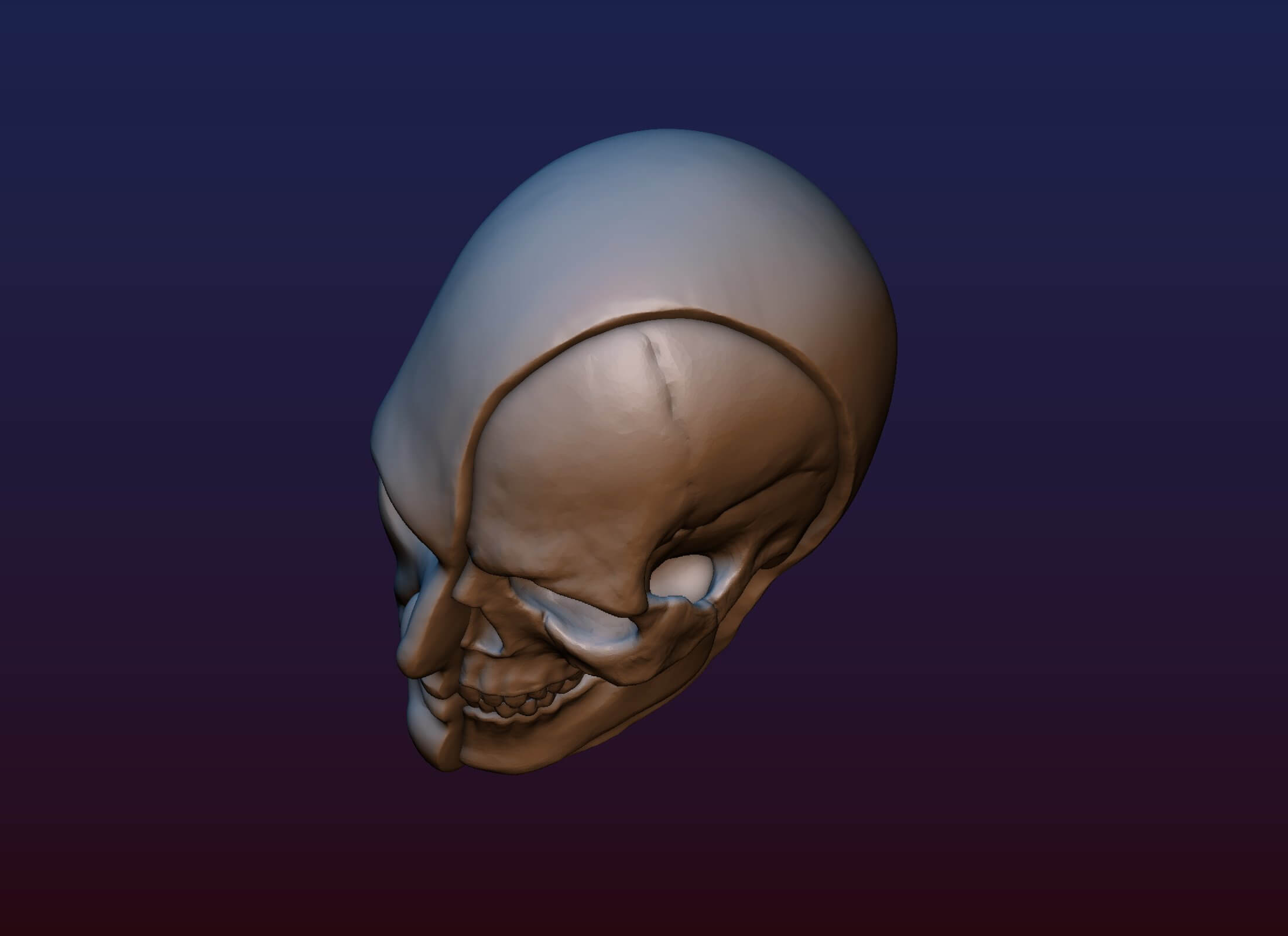 Half Face Two Face - 3D Model by alexkovalev