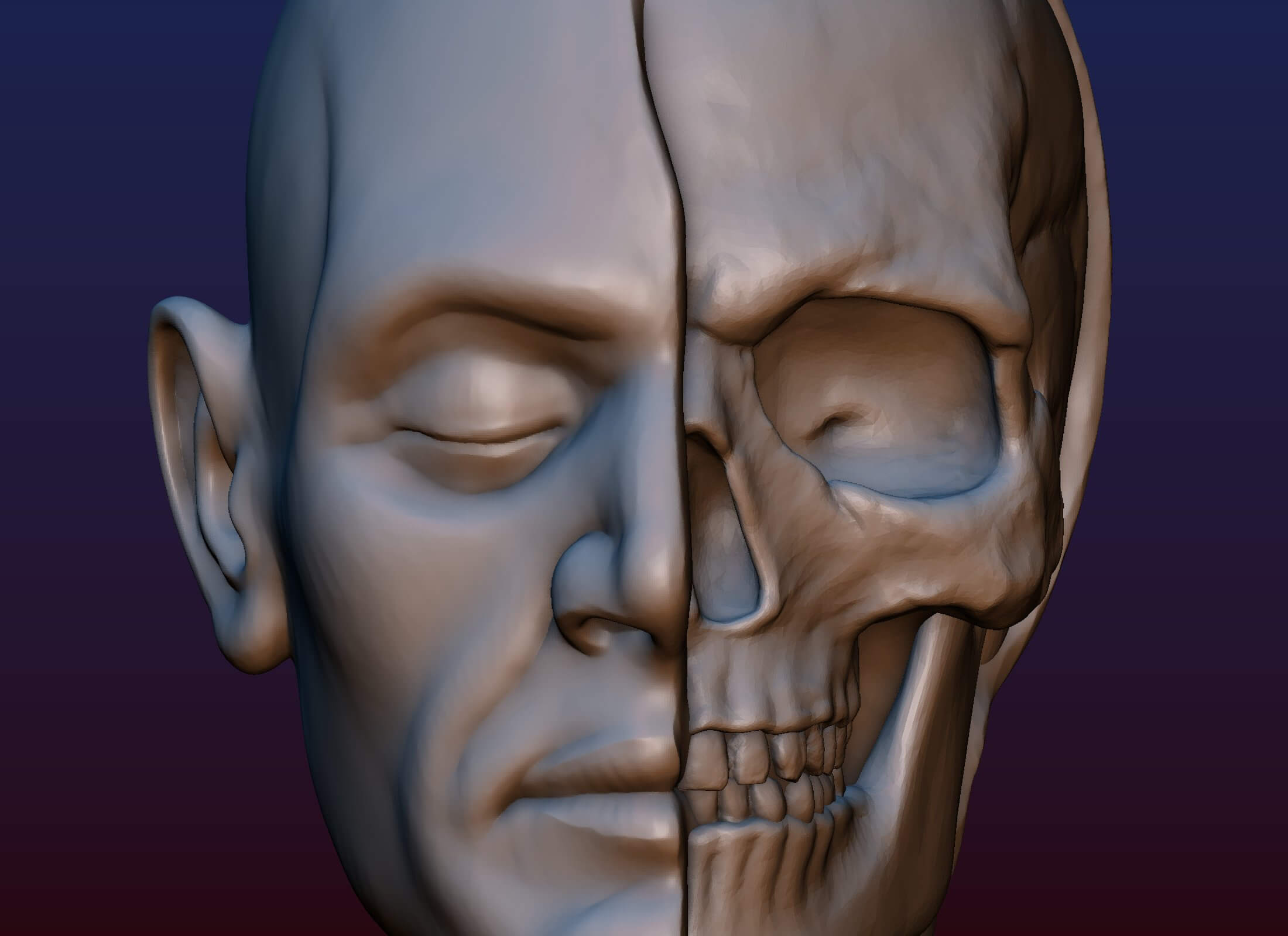 Half Face Two Face - 3D Model by alexkovalev