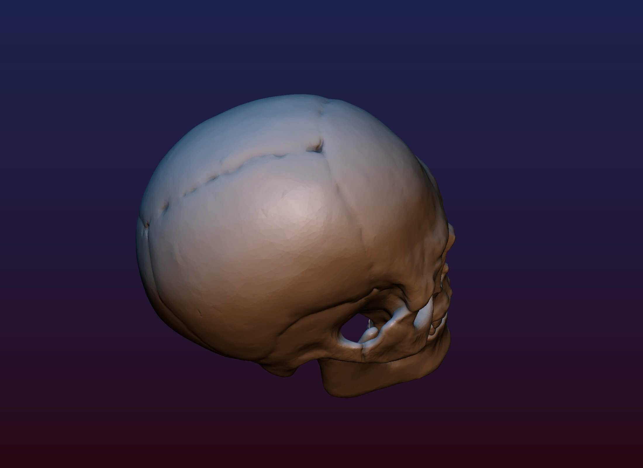 Half Face Two Face - 3D Model by alexkovalev