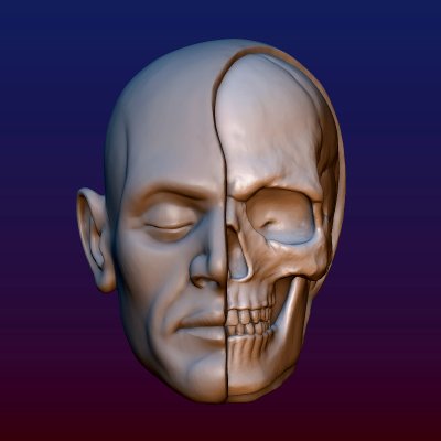 Half Face Two Face - 3D Model by alexkovalev