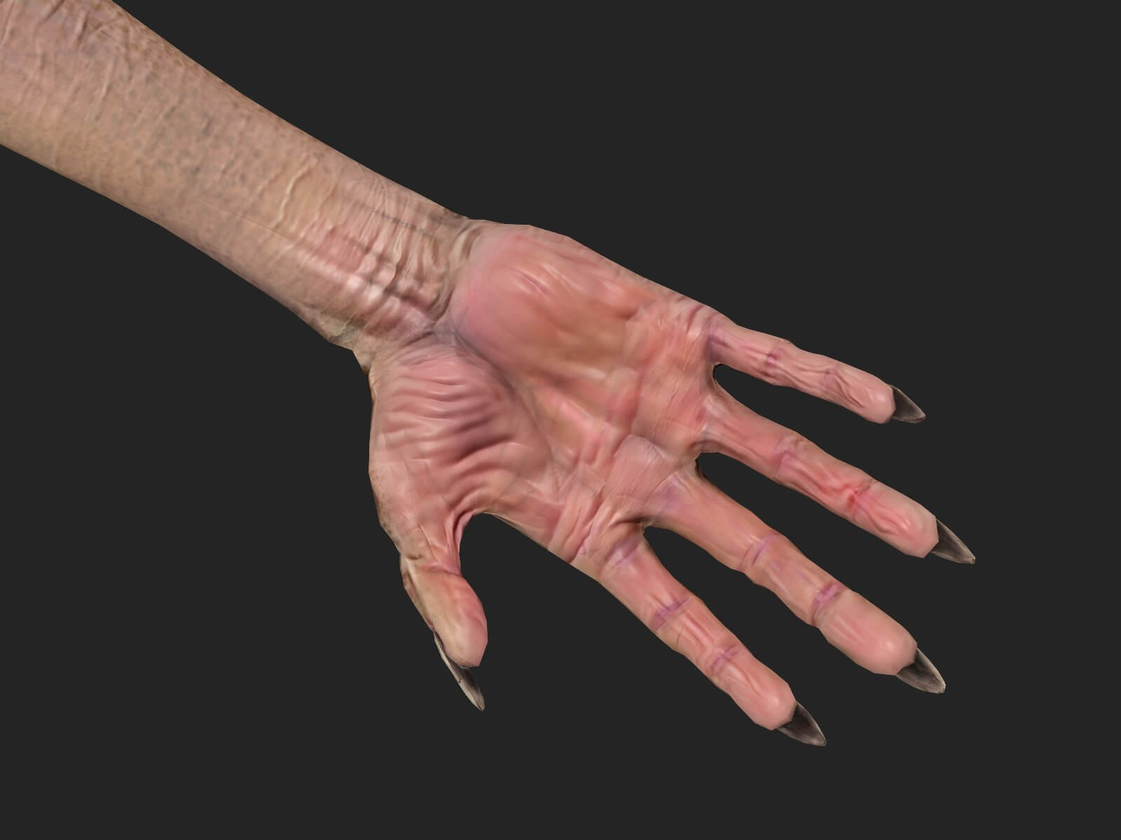 Witch Old Man Scary Hand - 3D Model by alexkovalev