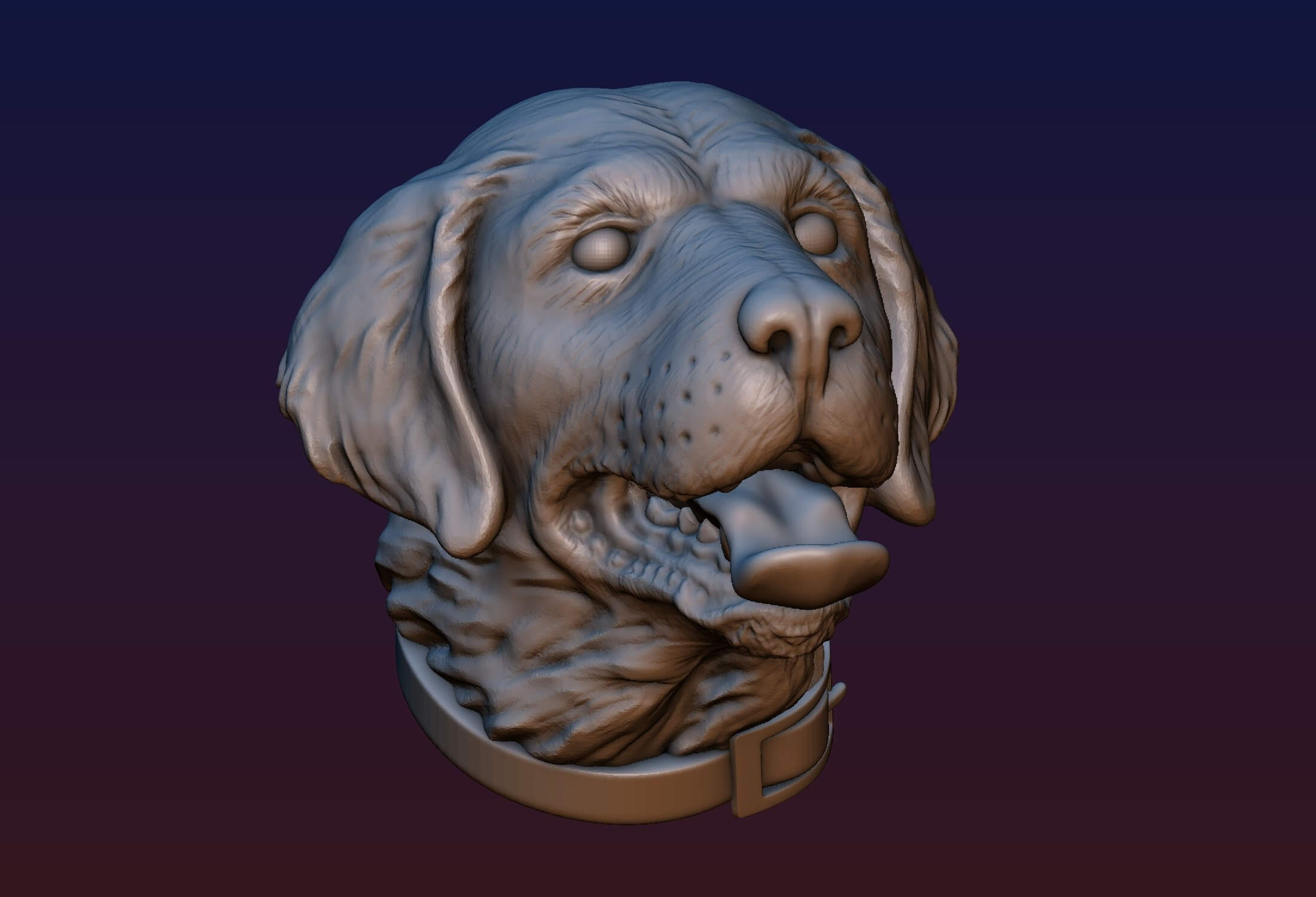 Labrador Head - 3D Print Model by alexkovalev
