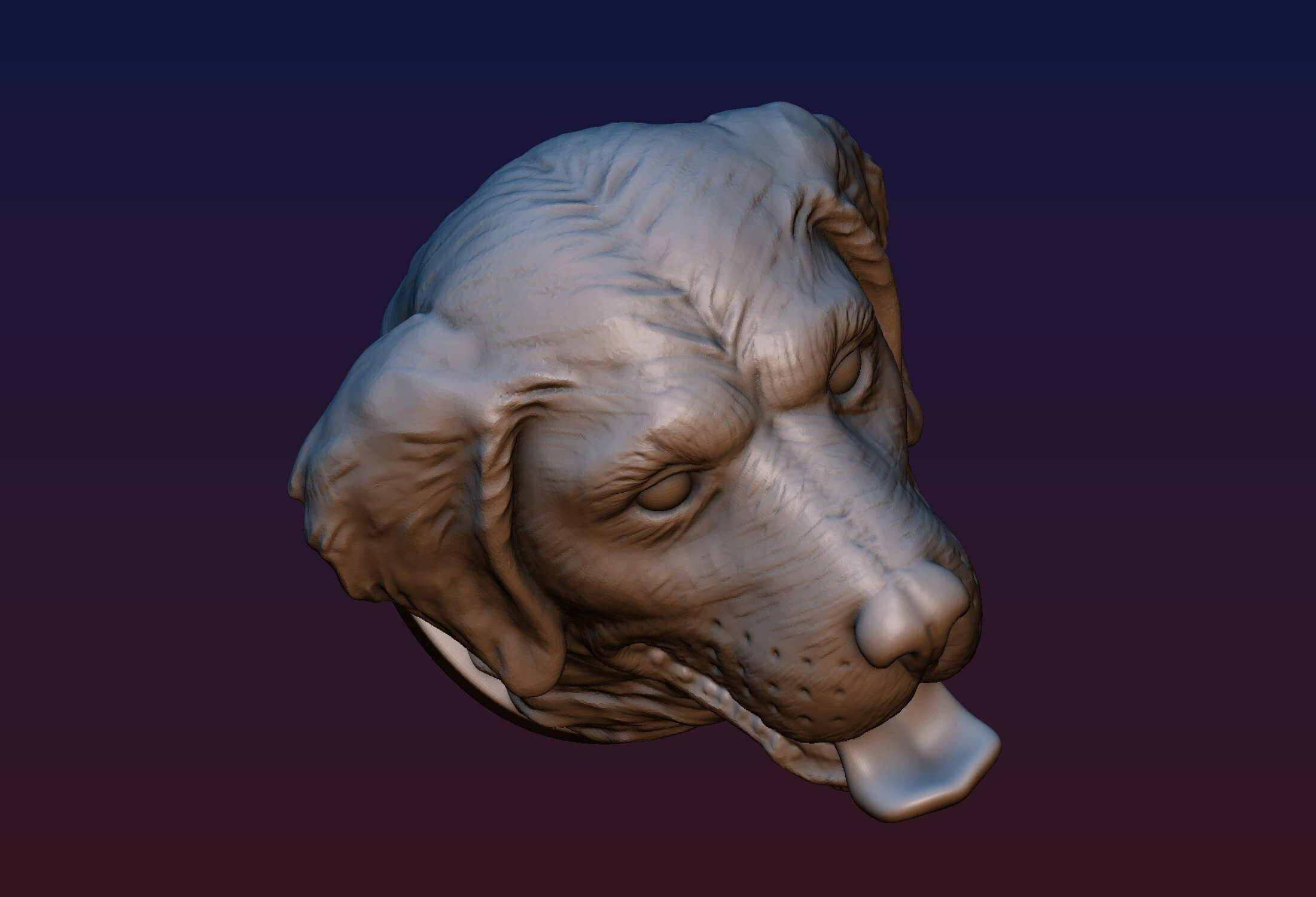 Labrador Head - 3D Print Model by alexkovalev