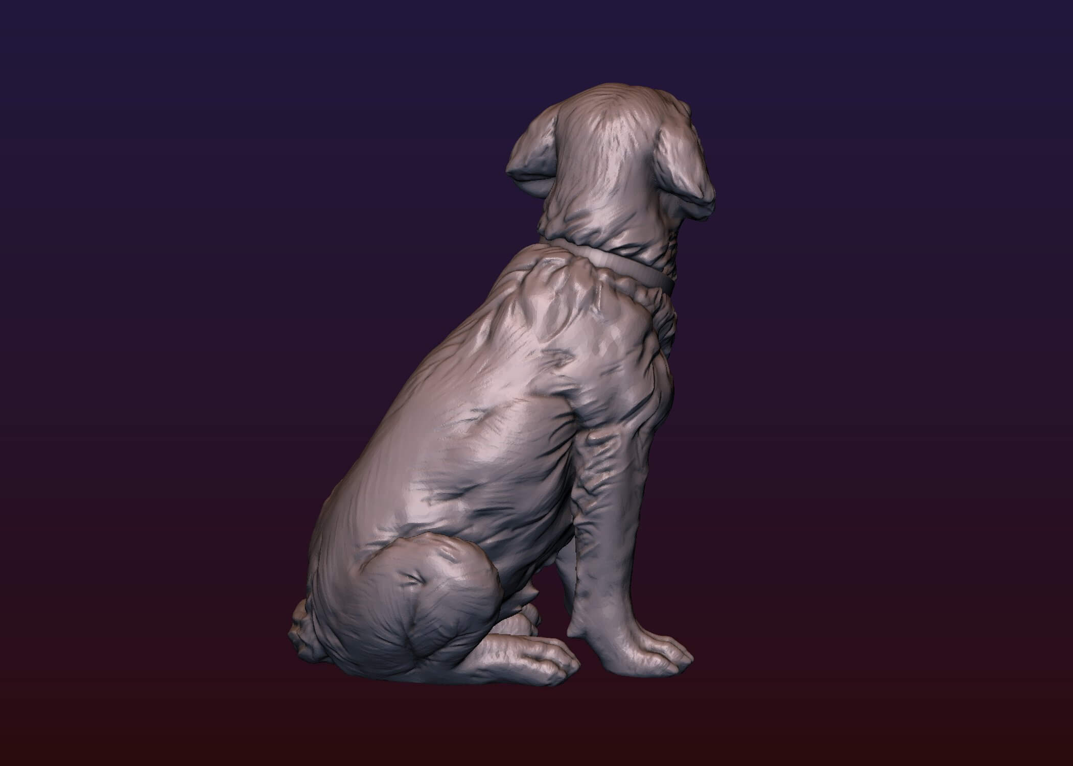 Labrador - 3D Model by alexkovalev