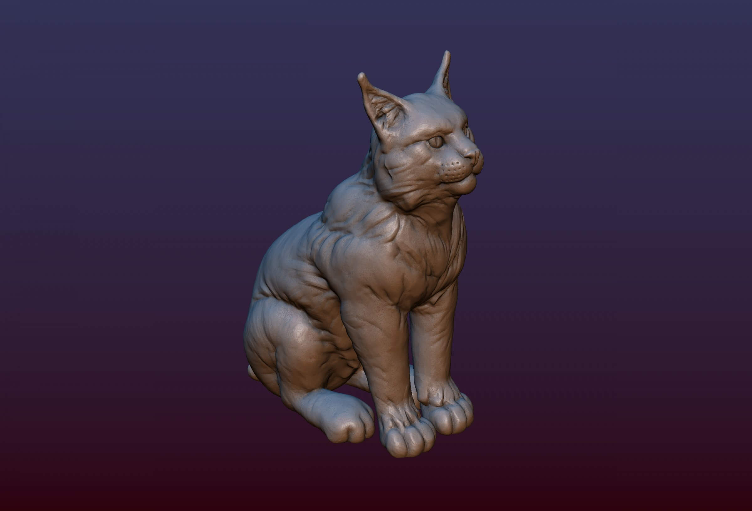 Lynx Kitten - 3D Model by alexkovalev