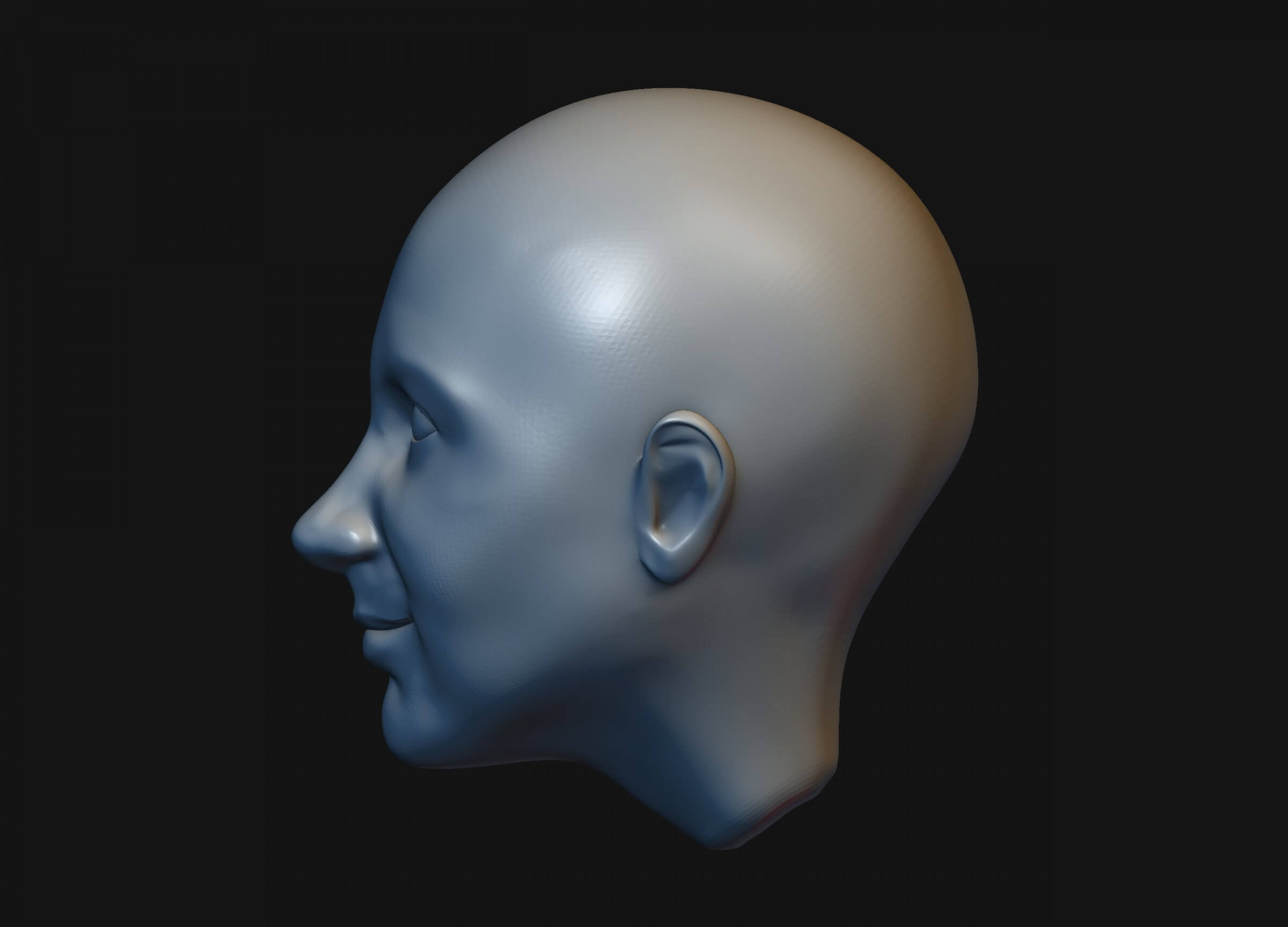 Male Head 13 - 3D Model by alexkovalev