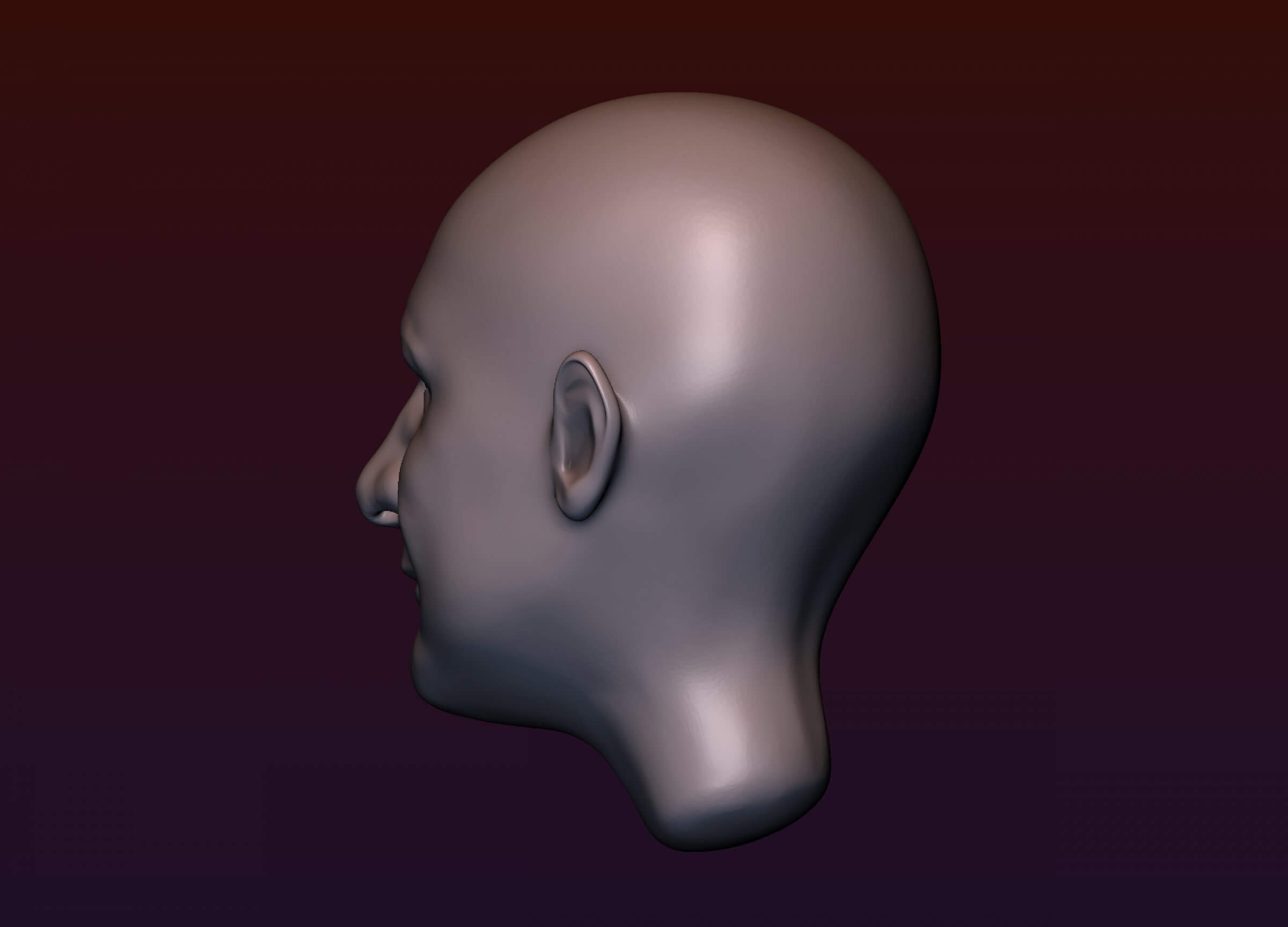 Male Head 4 Balded - 3D Model by alexkovalev