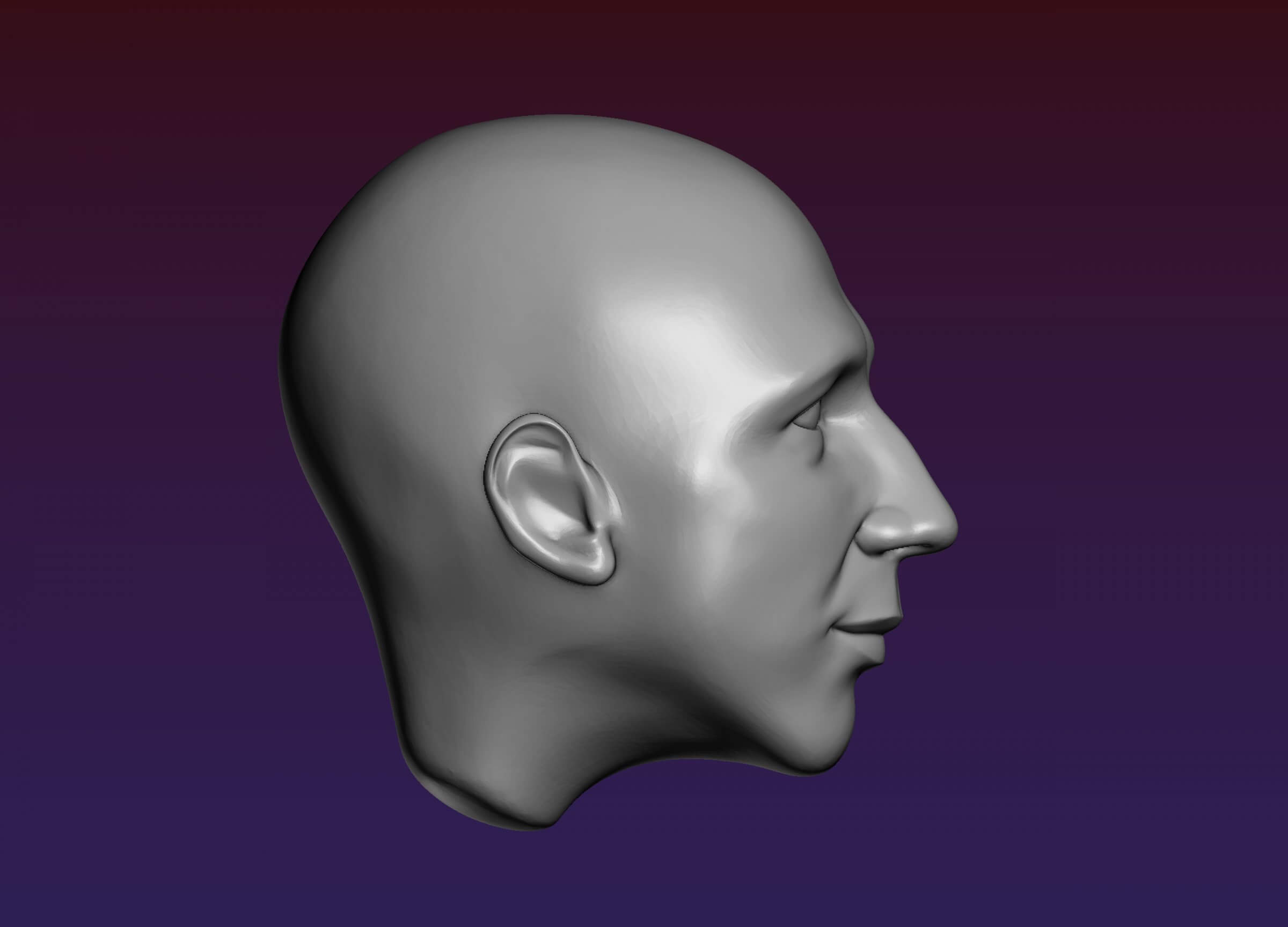 Male Head 7 Balded - 3D Print Model by alexkovalev
