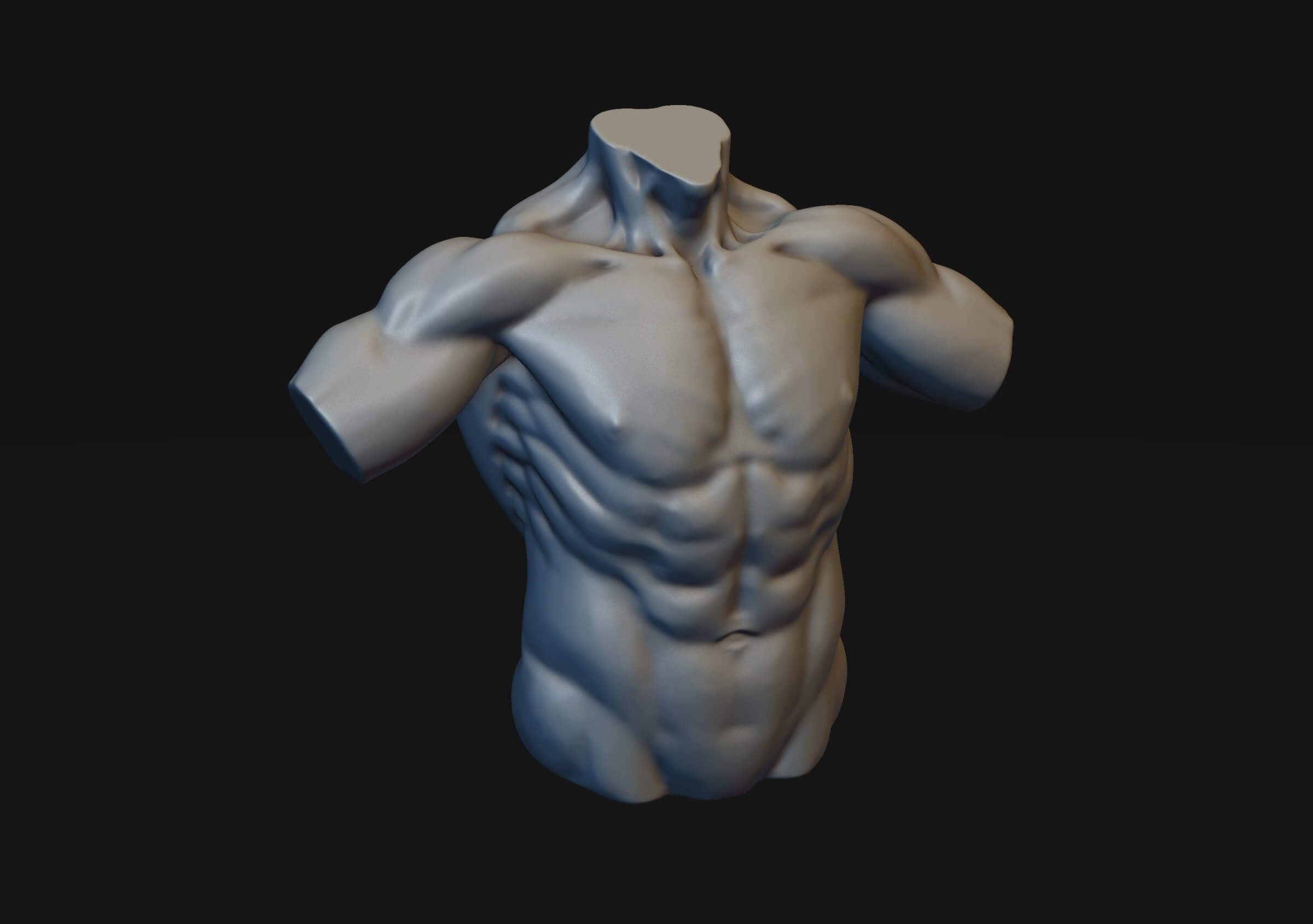 Male Torso - 3D Model by alexkovalev