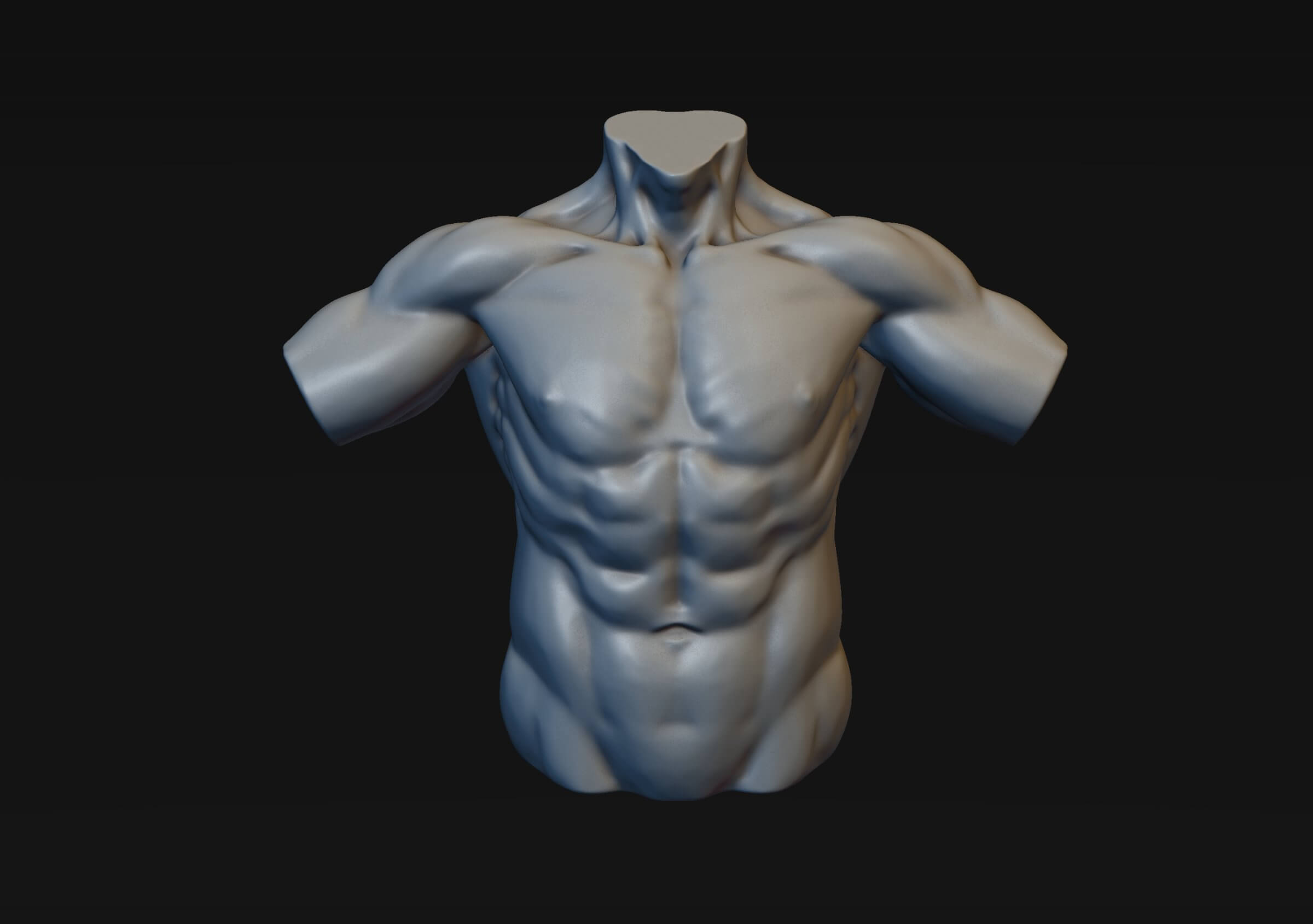 Male Torso - 3D Model by alexkovalev