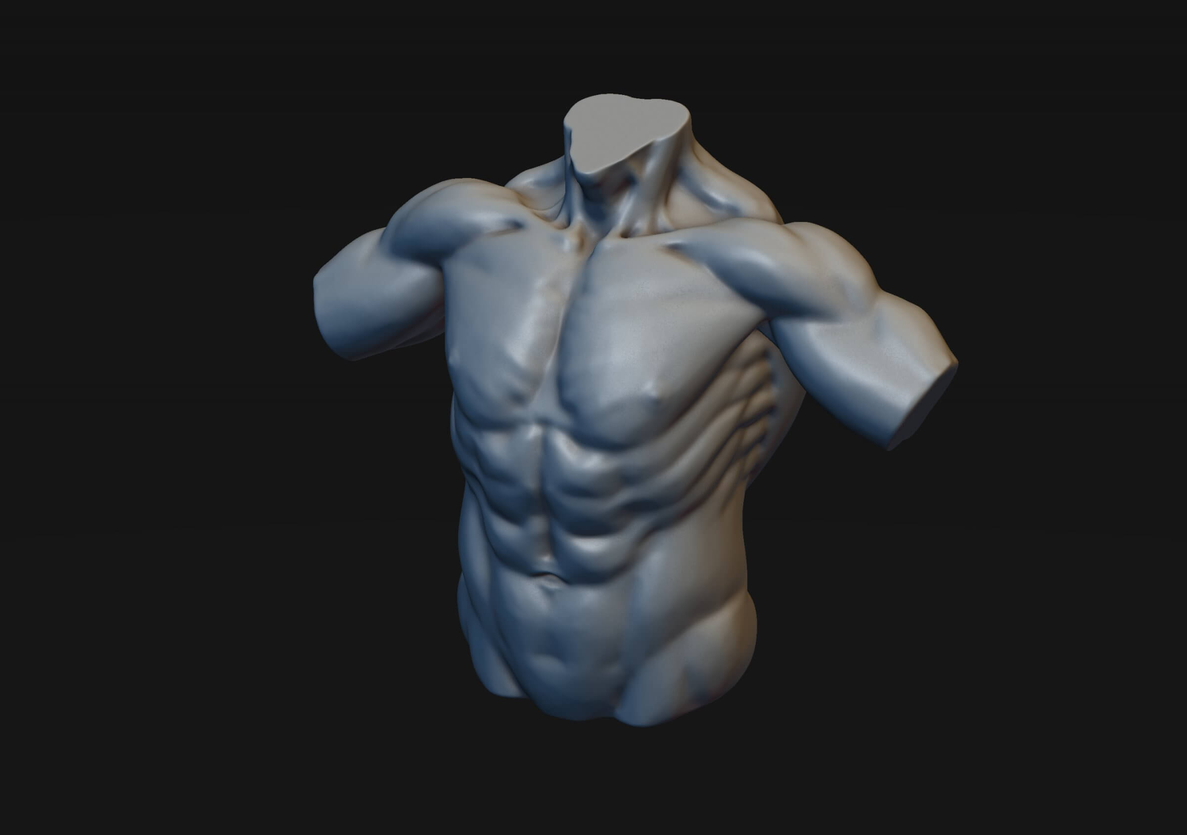 Male Torso - 3D Model by alexkovalev
