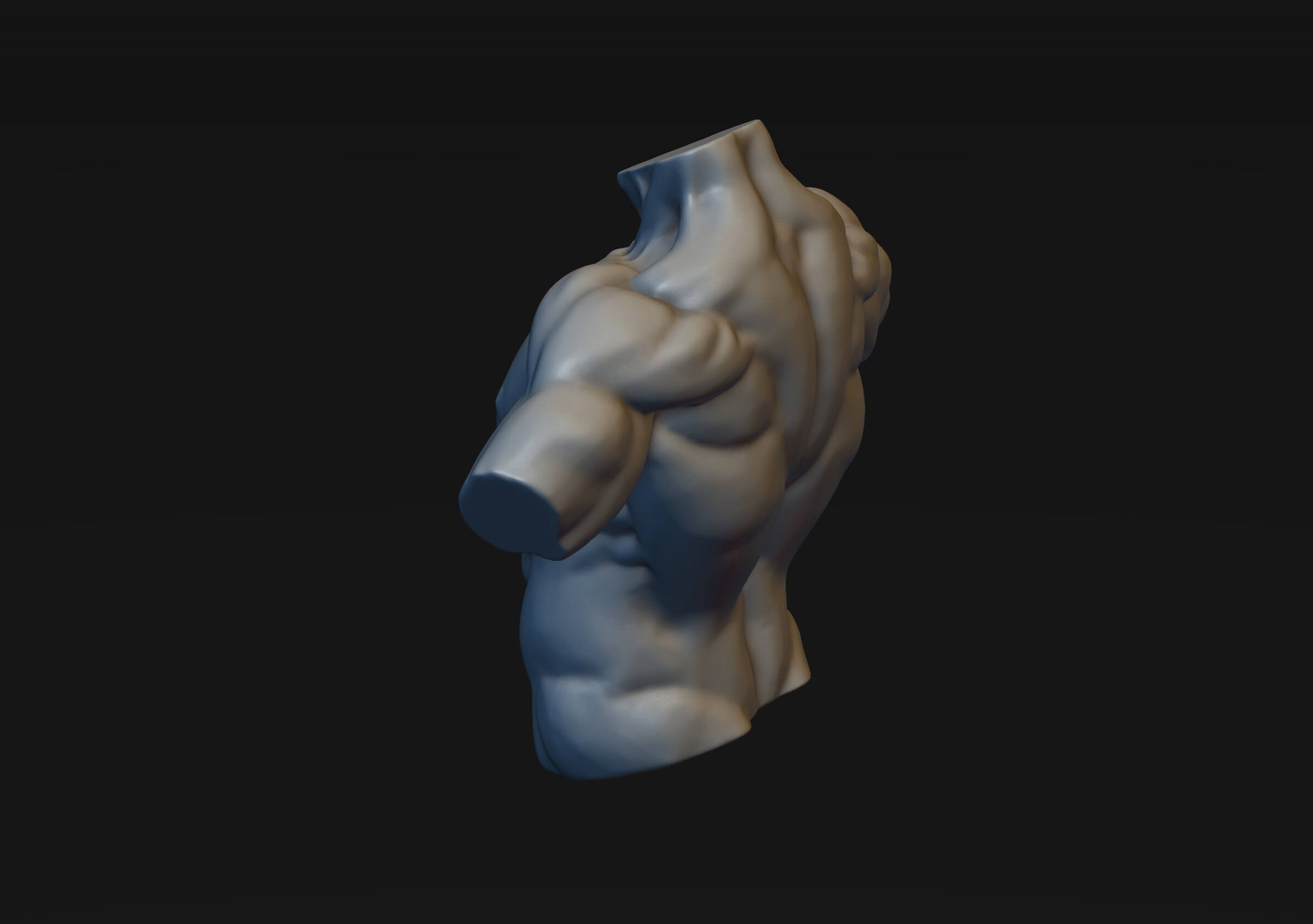 Male Torso - 3D Model by alexkovalev